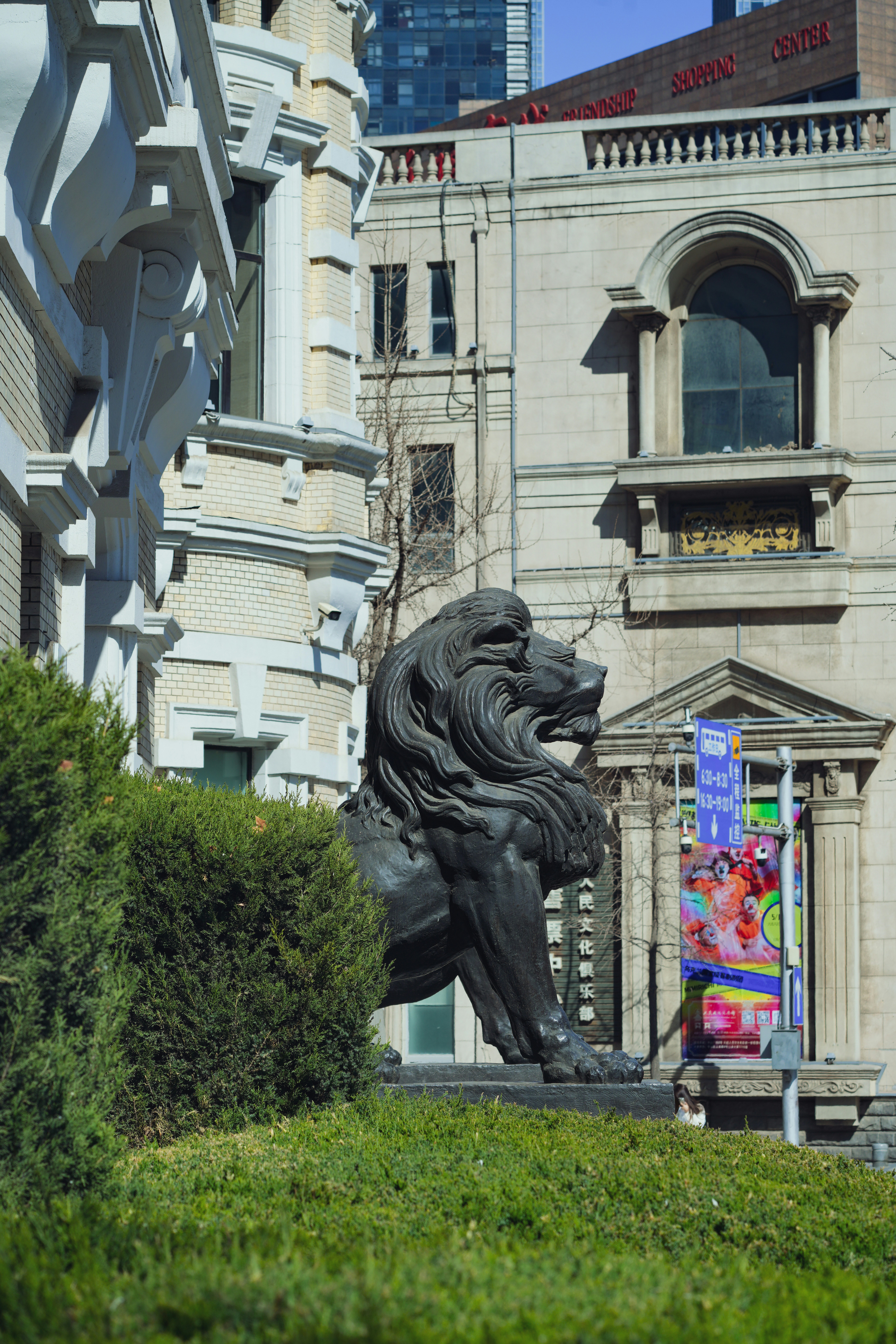 Guarded Gaze of the City Lion