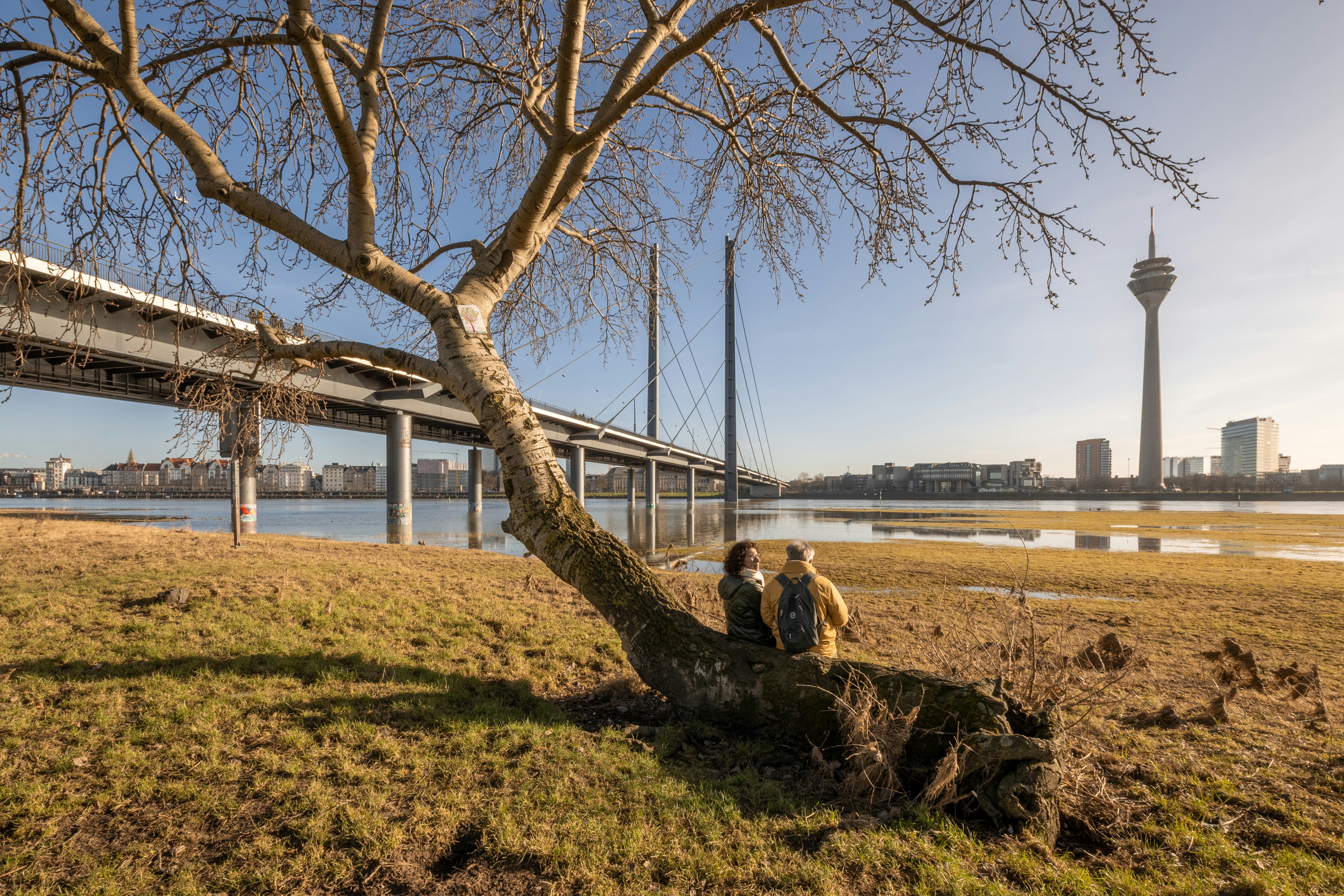 Couple Beneath a Gnarled Tree by the Riverside with a Modern Cable-Stayed Bridge