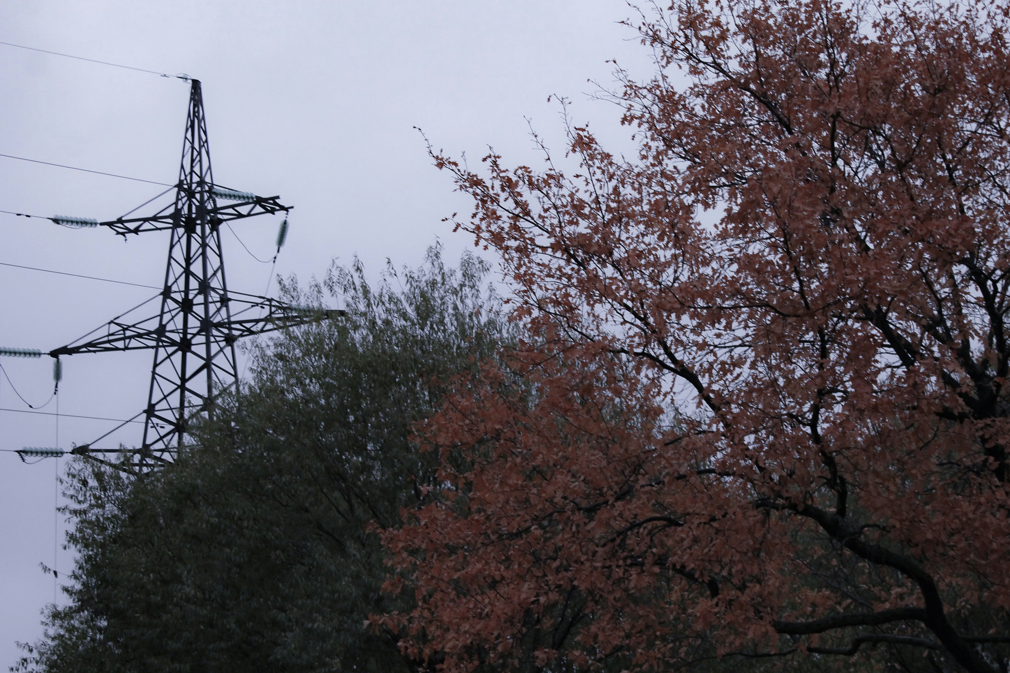 Towering Lattice and Crimson Canopy under a Somber Sky
