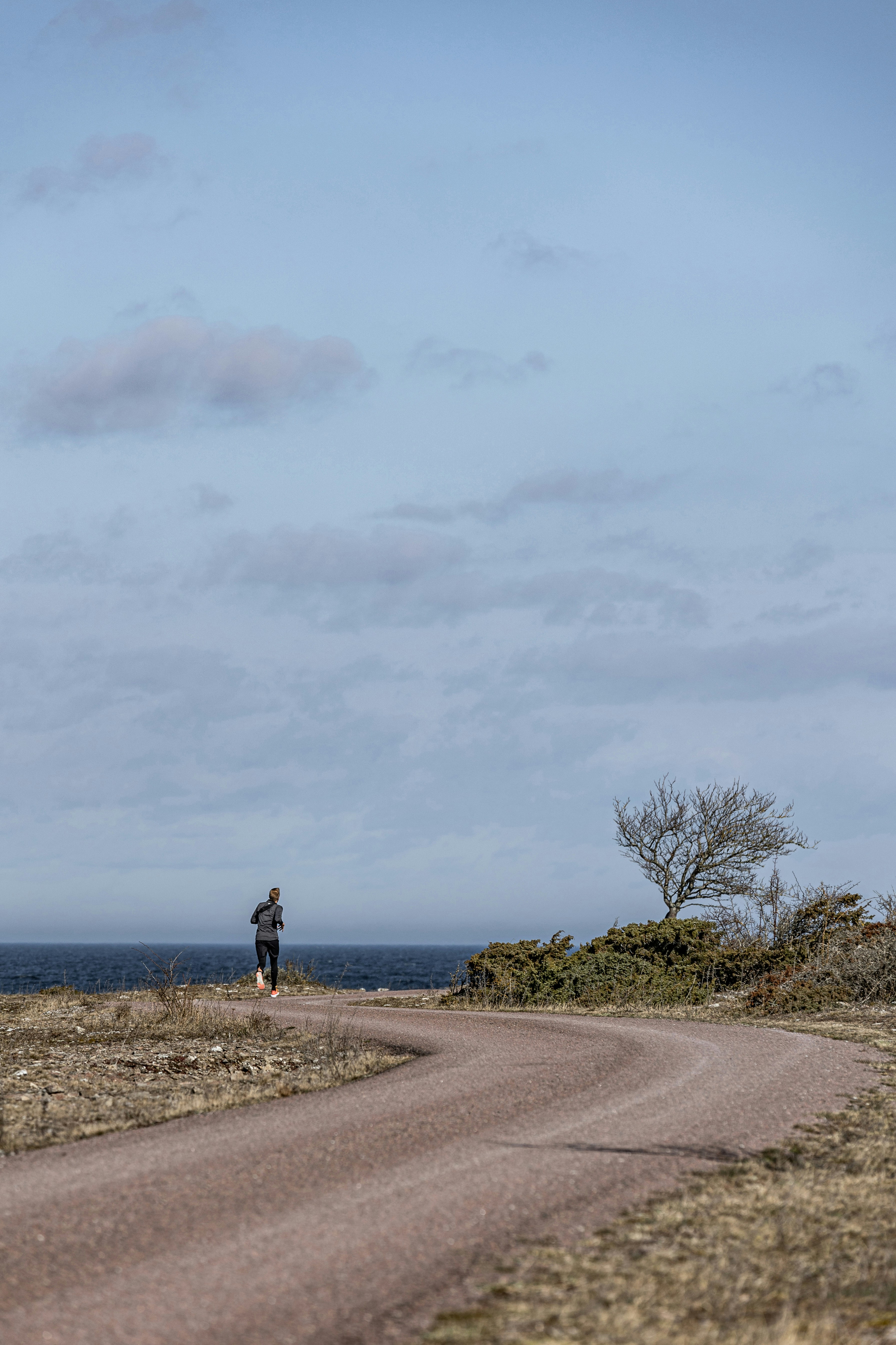 Traveler on a Winding Seaside Path