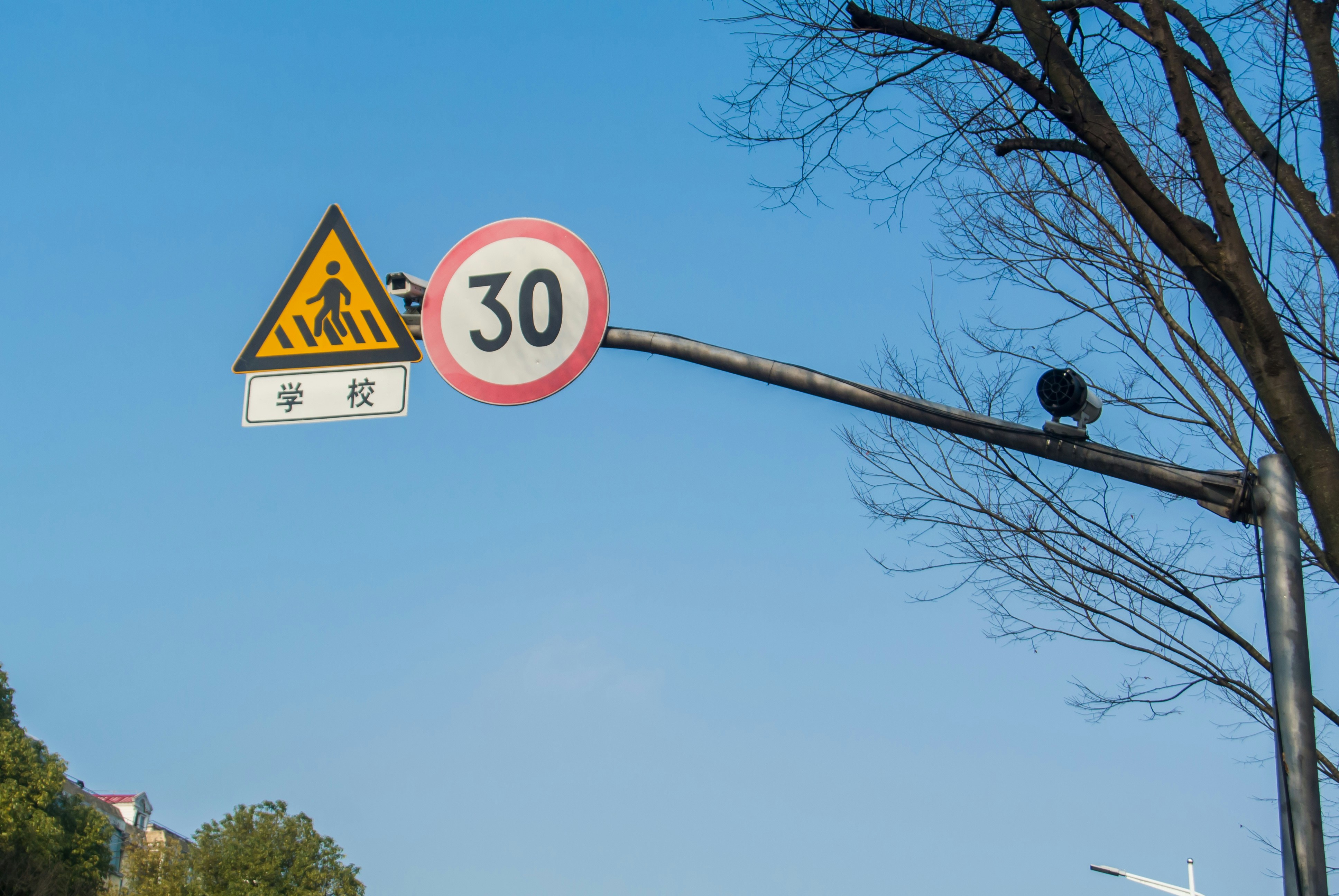Two traffic signs—a triangular pedestrian crossing sign and a round 30 sign—are mounted on a curved arm against a bright blue sky, with tree silhouettes in the upper-right.