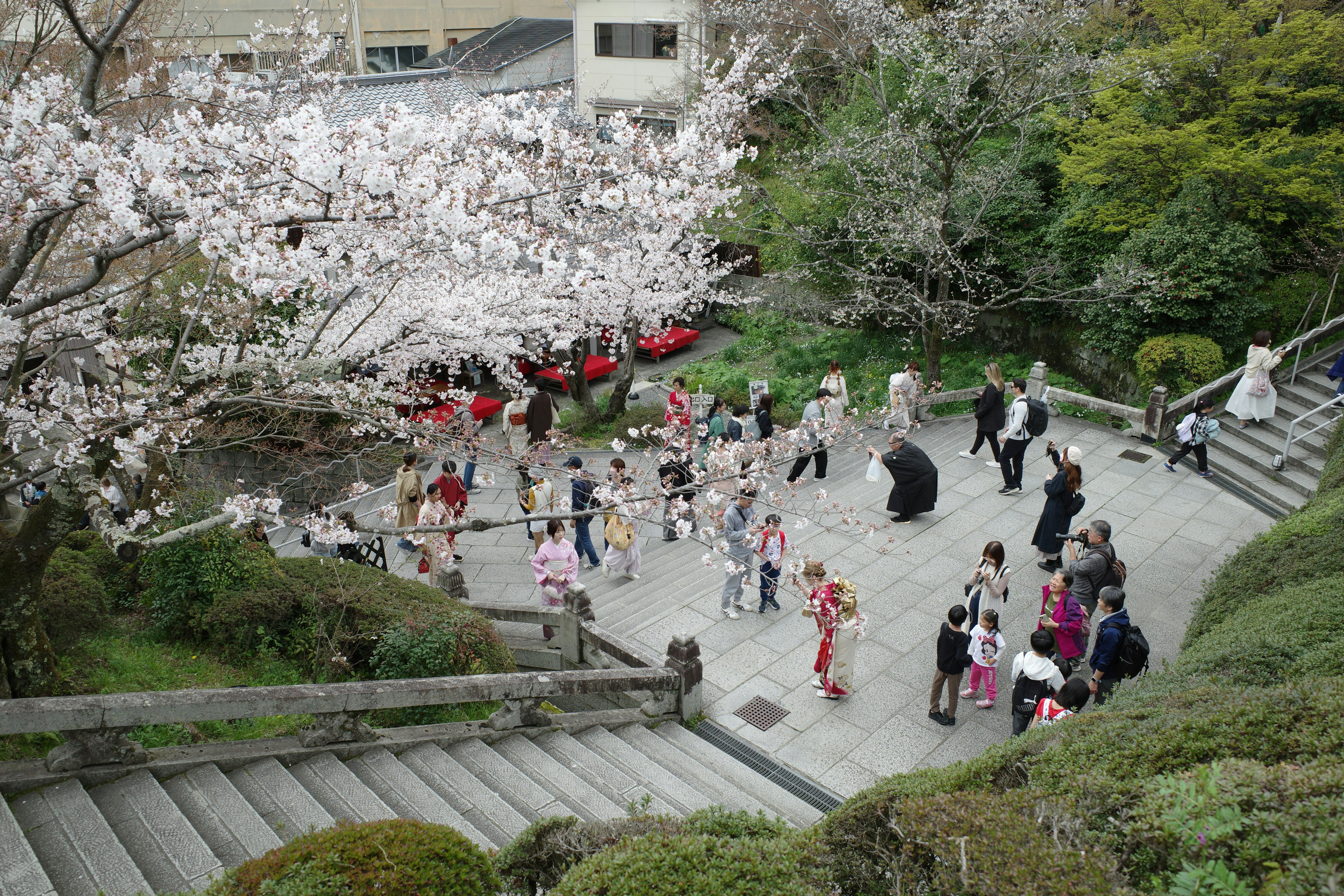 Photo by Joey Han with Ricoh GR III