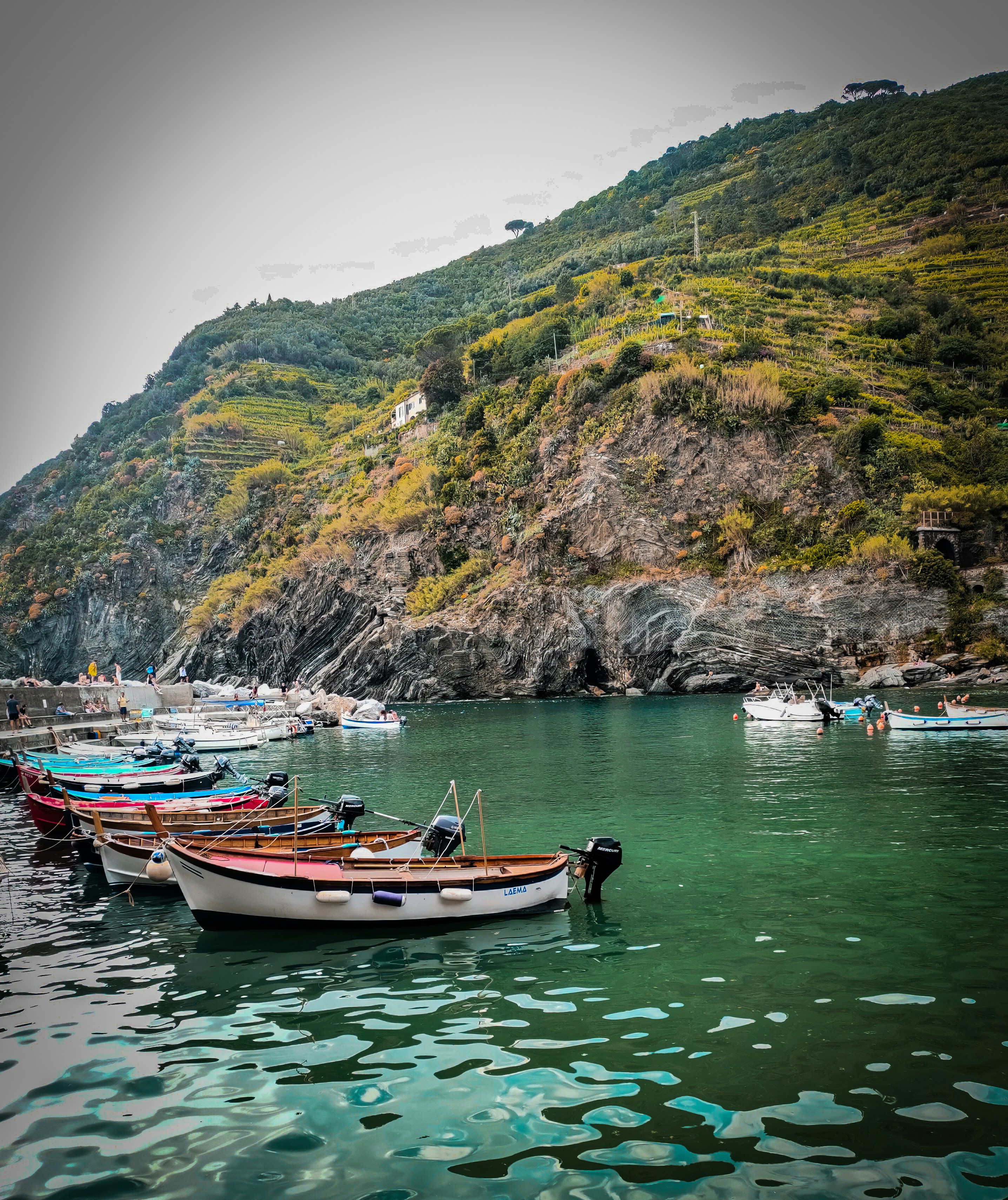 Sample photo from Vivo Z1X