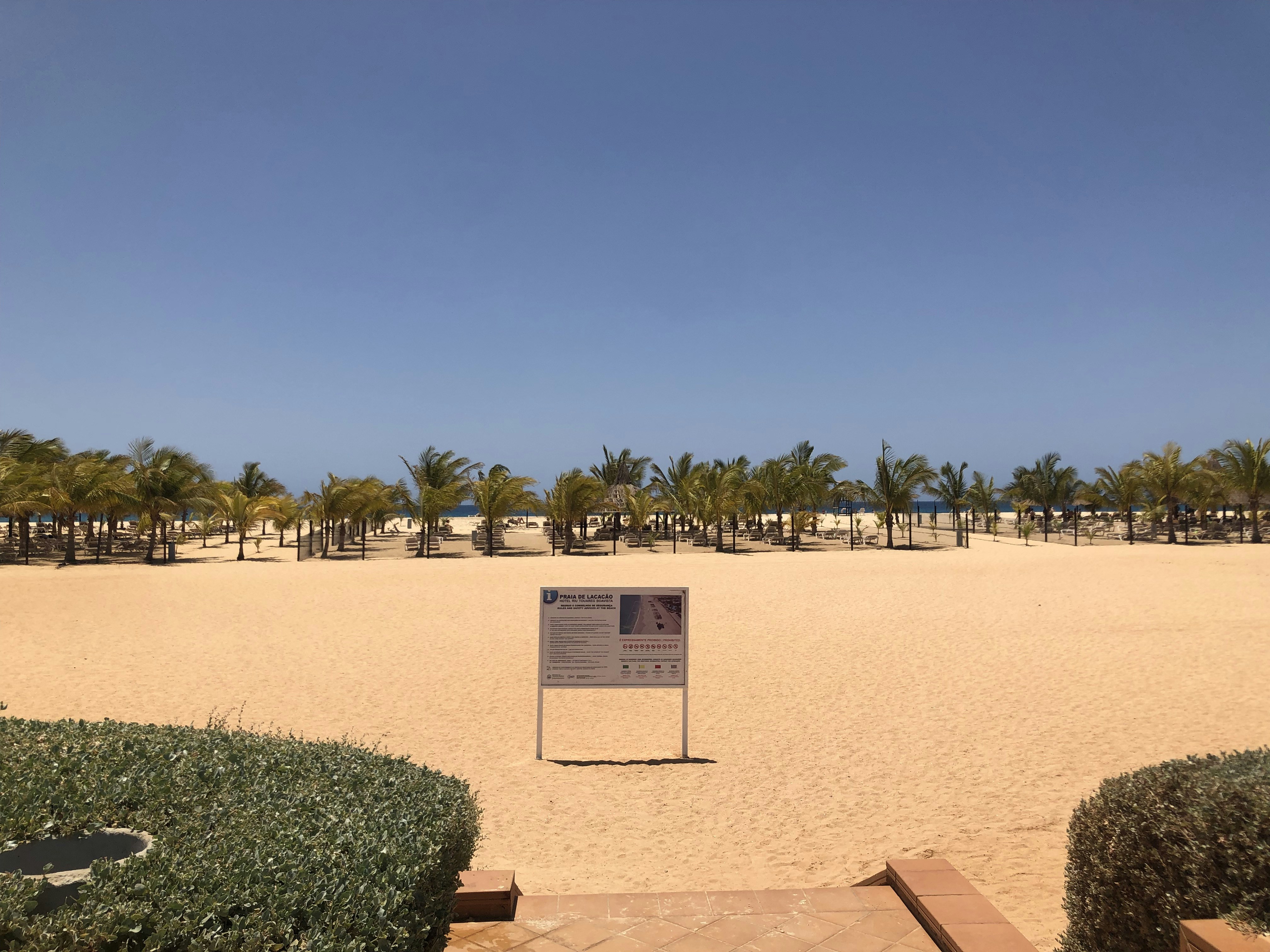 Signboard at the Quiet Palm-Lined Beach