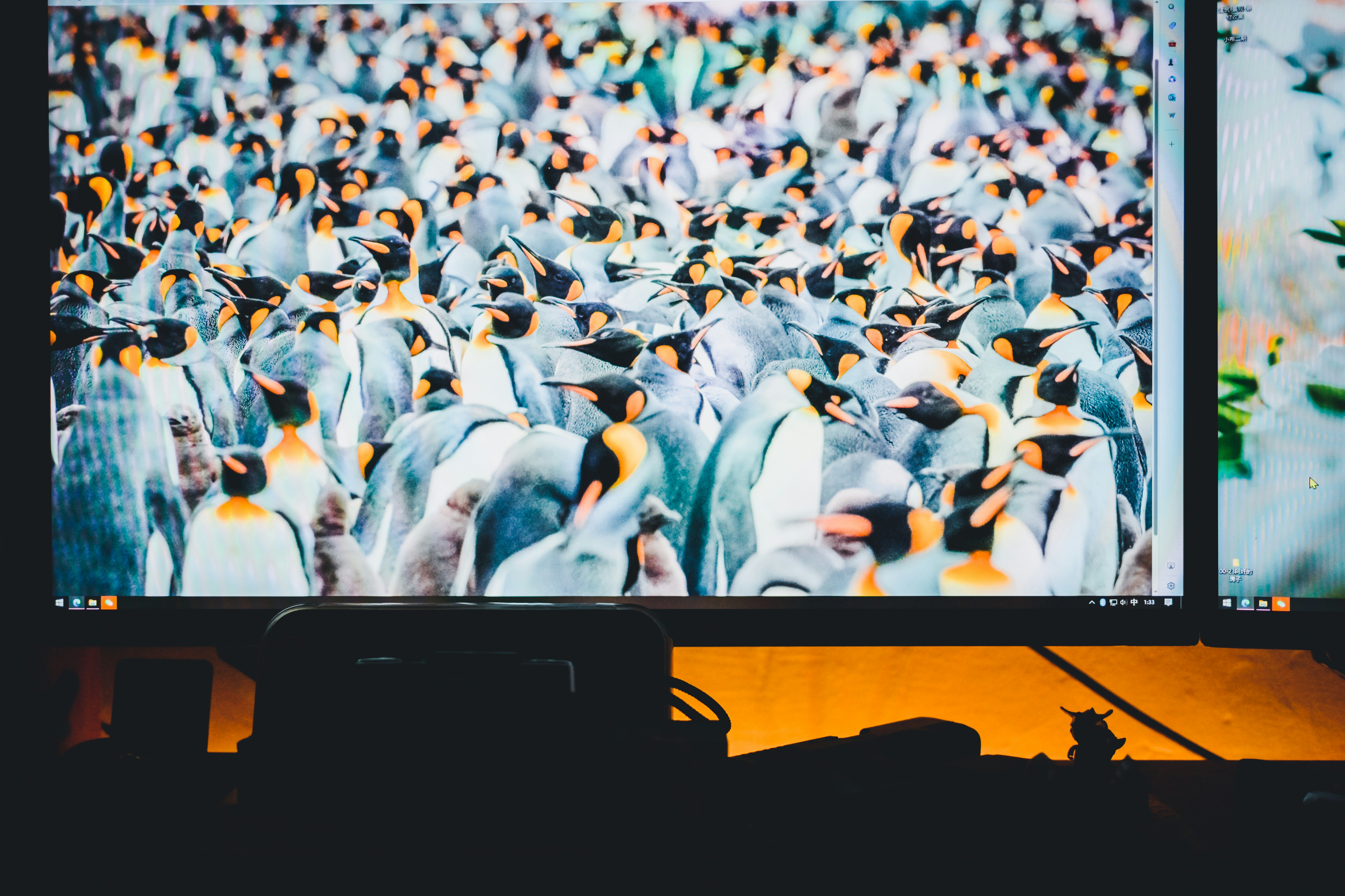 A large group of penguins on a big screen photo – Free Electronics ...