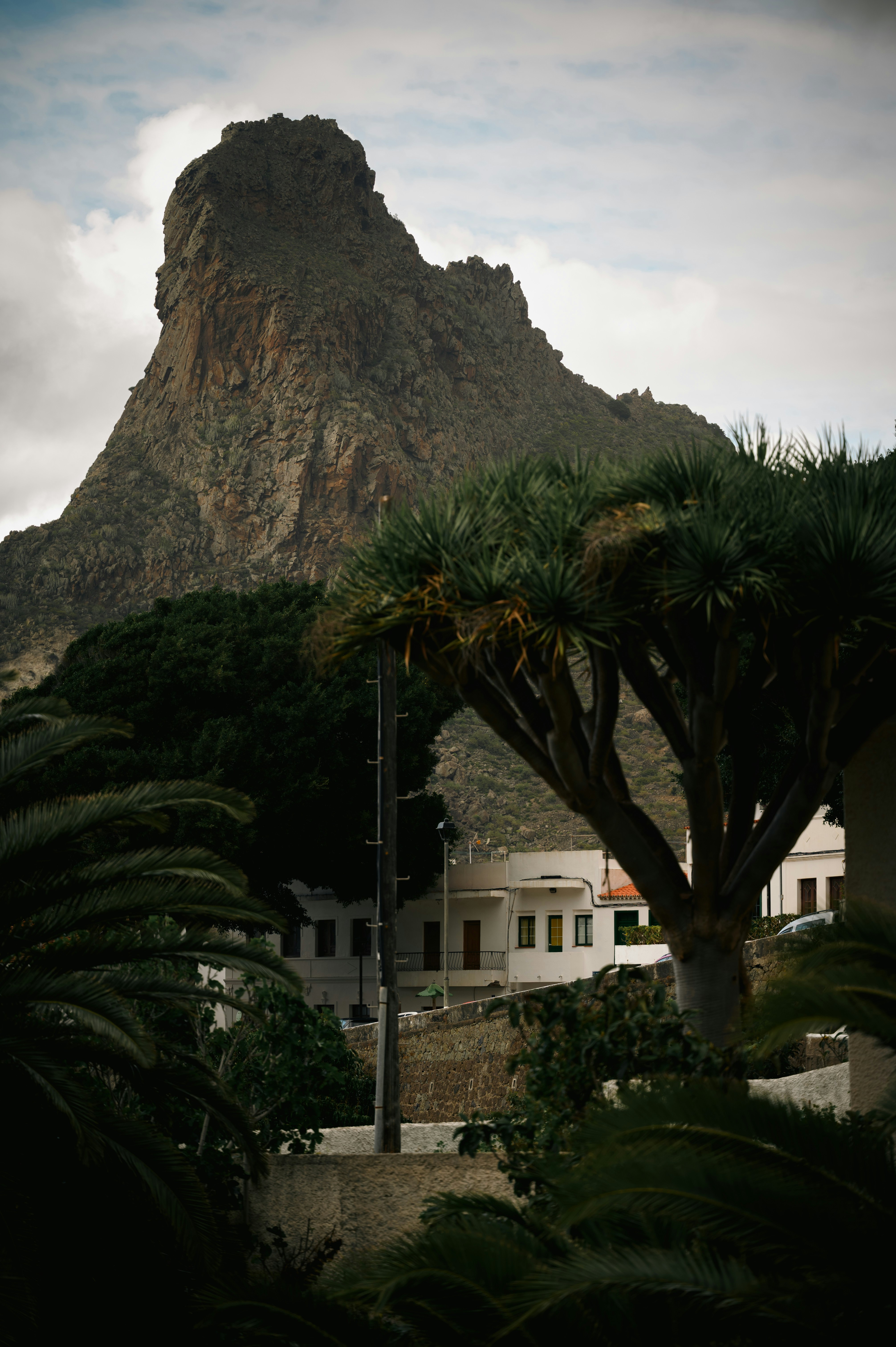 Granite Sentinel Over a Palm-Fringed Village