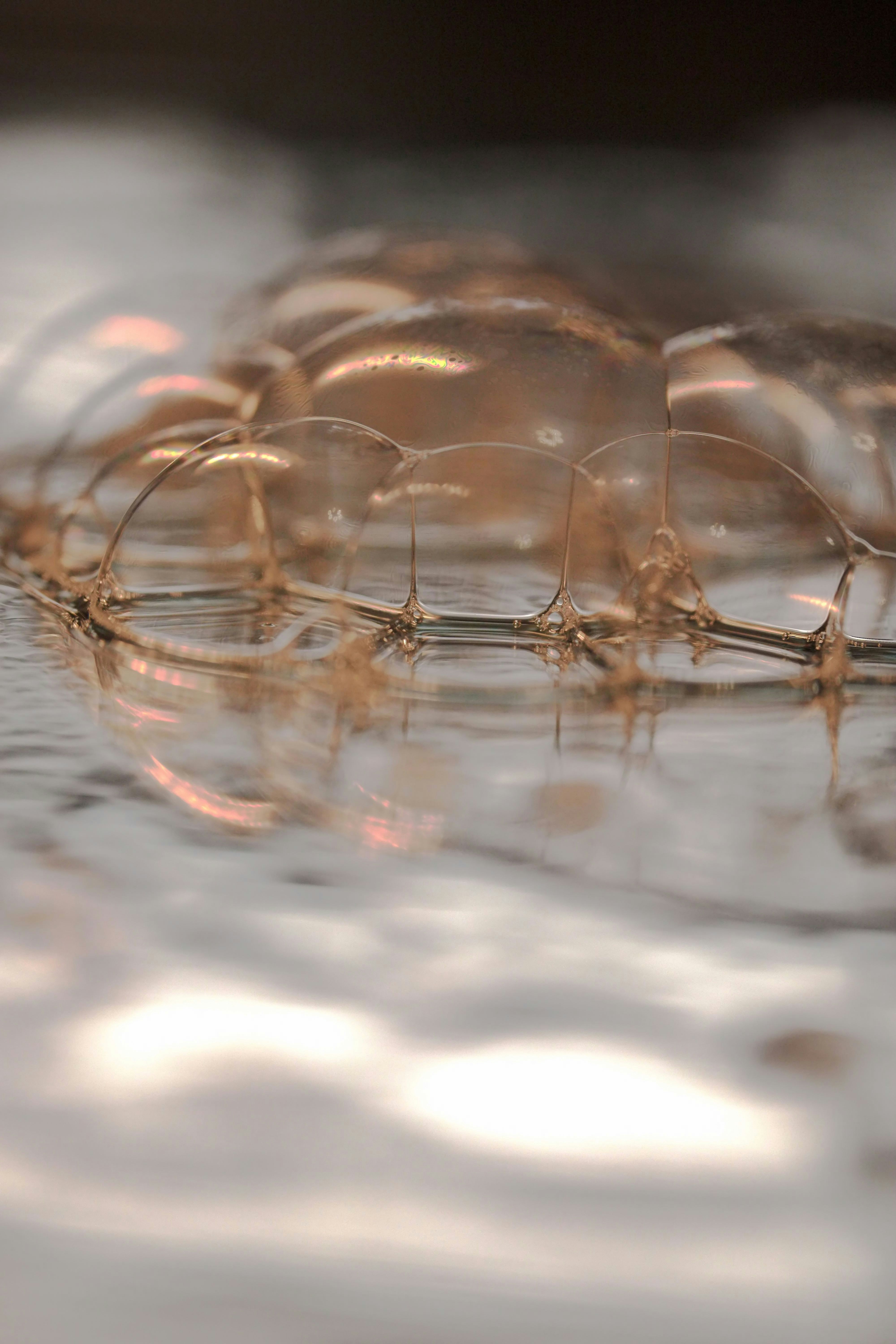 Barbed lace: macro reveal of dew-kissed coils on glass