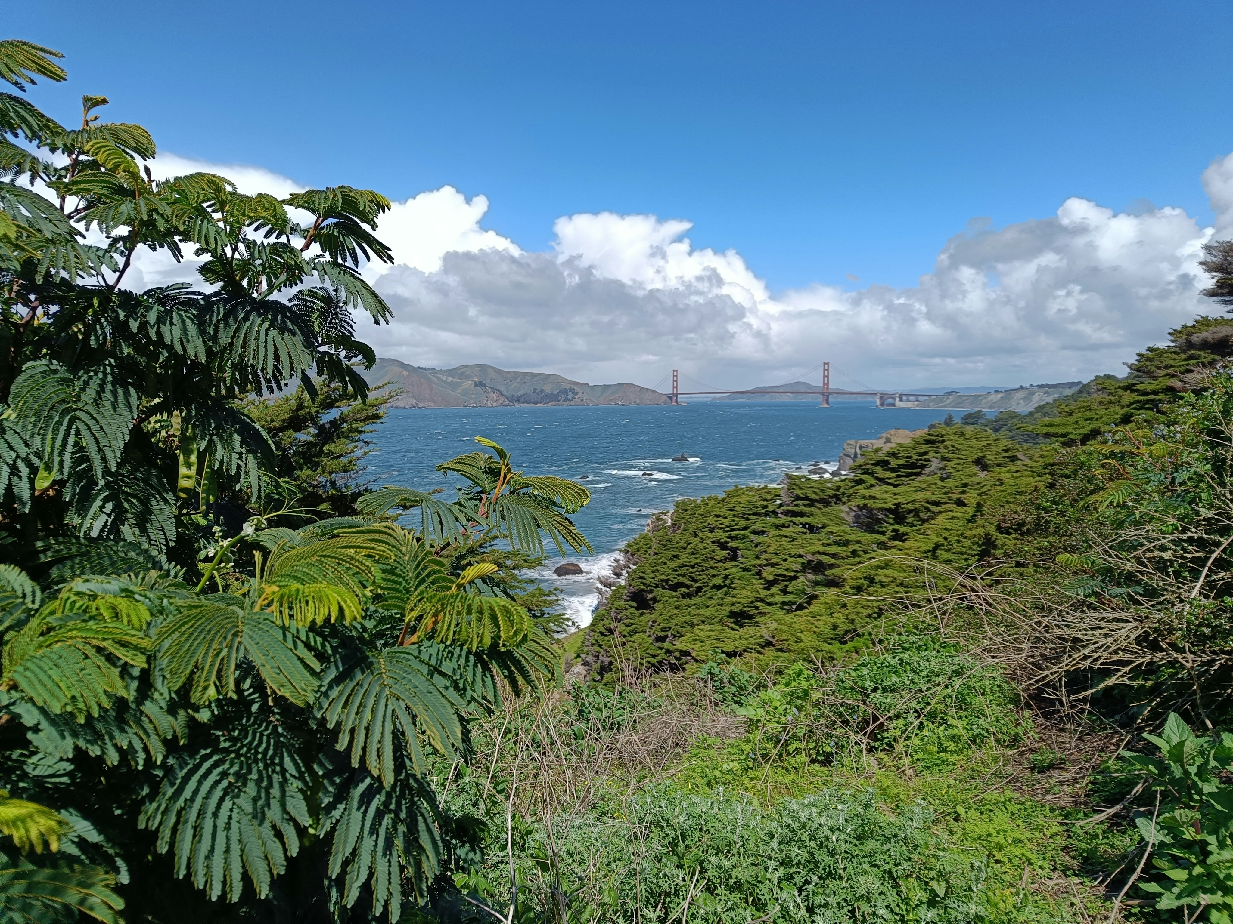 Photo by Alisa Kenley with OnePlus Nord 2T