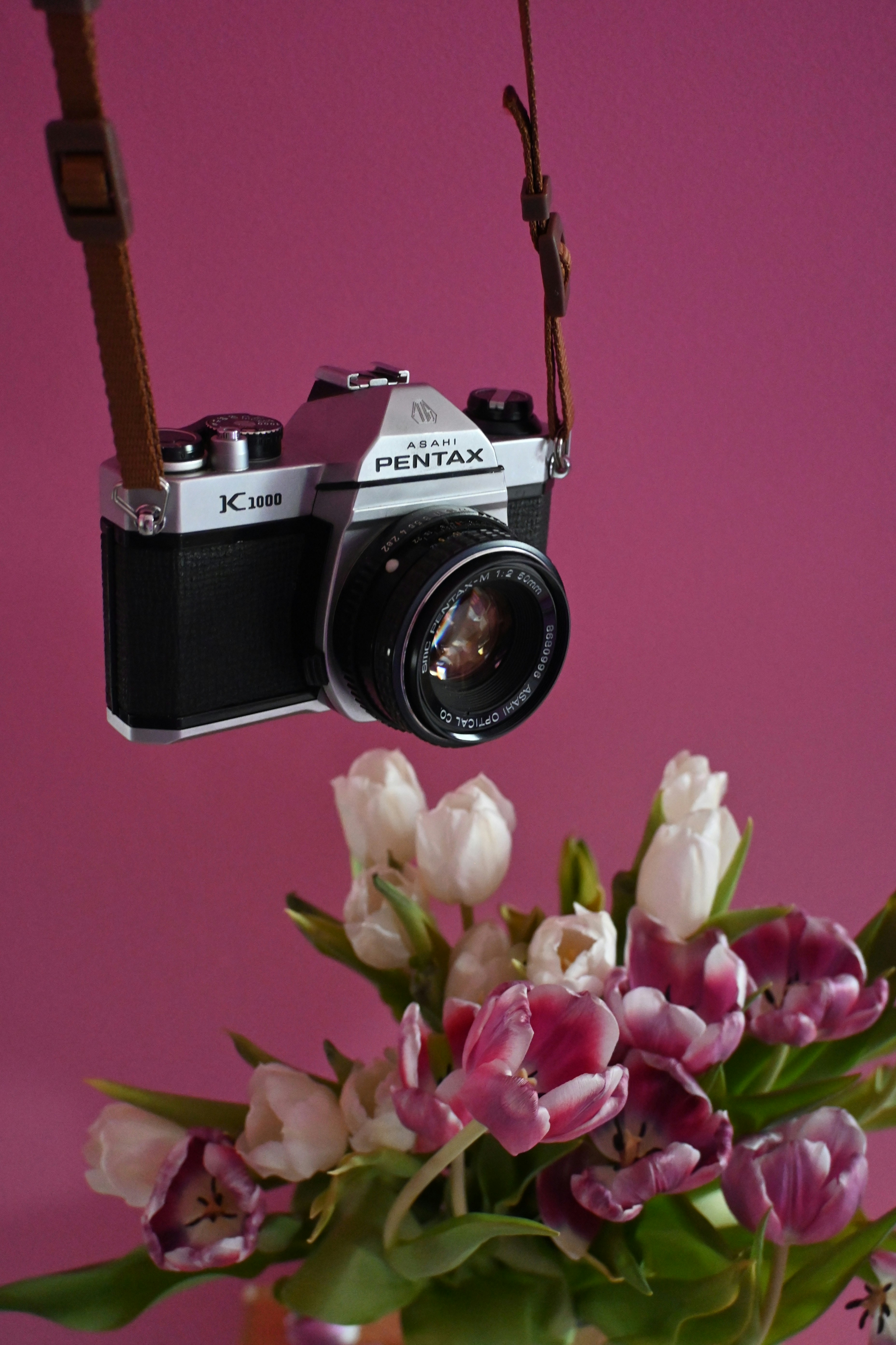 “She loved him the way one loves an old bridge or a wool sweater or the sound of a growing tulip.” — Joseph Fink 🫶🏻 “Life is the flower for which love is the honey.” — Victor Hugo 🫶🏻 “In a flowerpot of love lives a beautiful tulip plant, and then was the passer by with words to attract it; for, it was just like a passing glance and the sense of love, and they were both attracted to each other.”— Edward Kofi Louis 🫶🏻