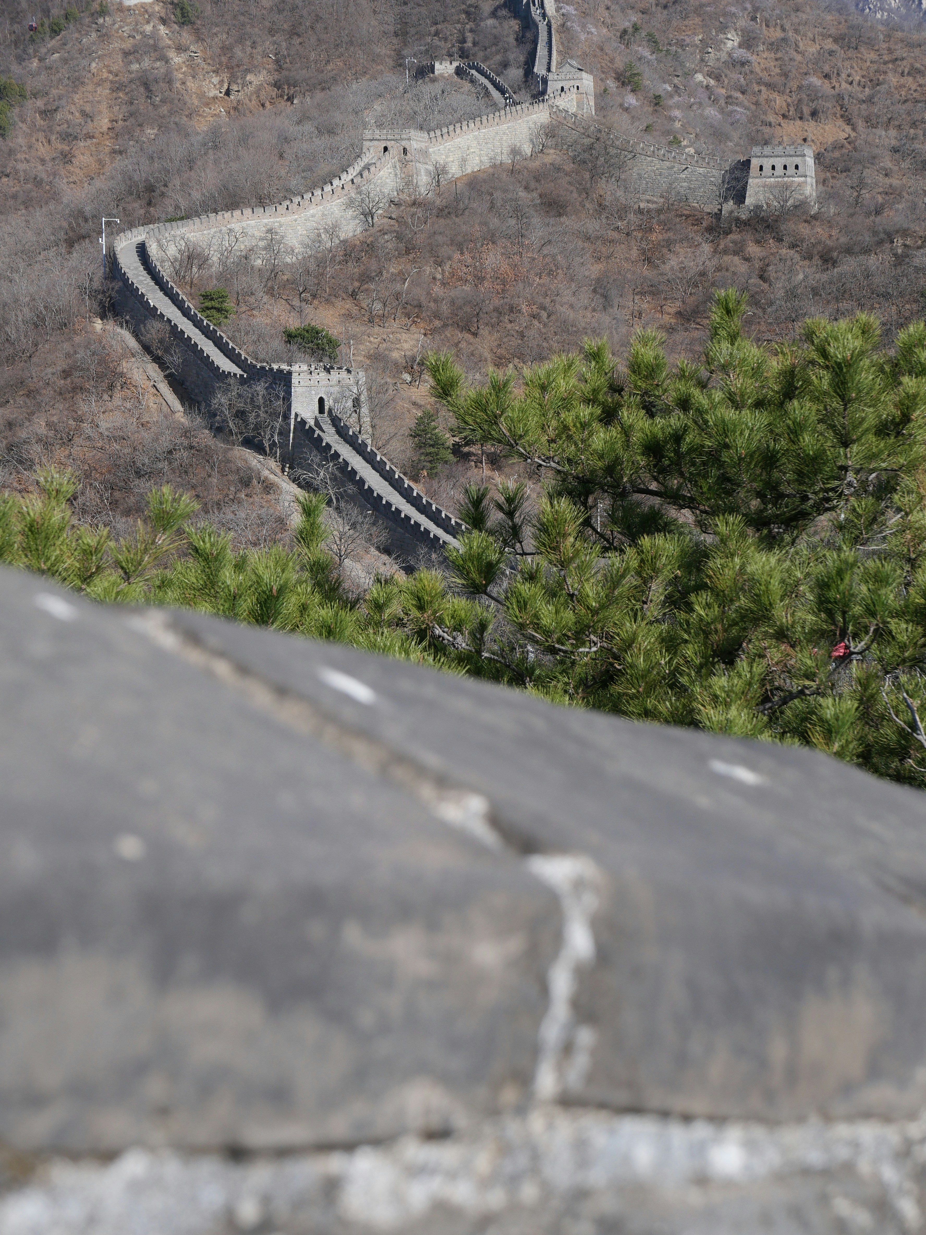 Winding Watchtower: A Quiet Snapshot of the Great Wall