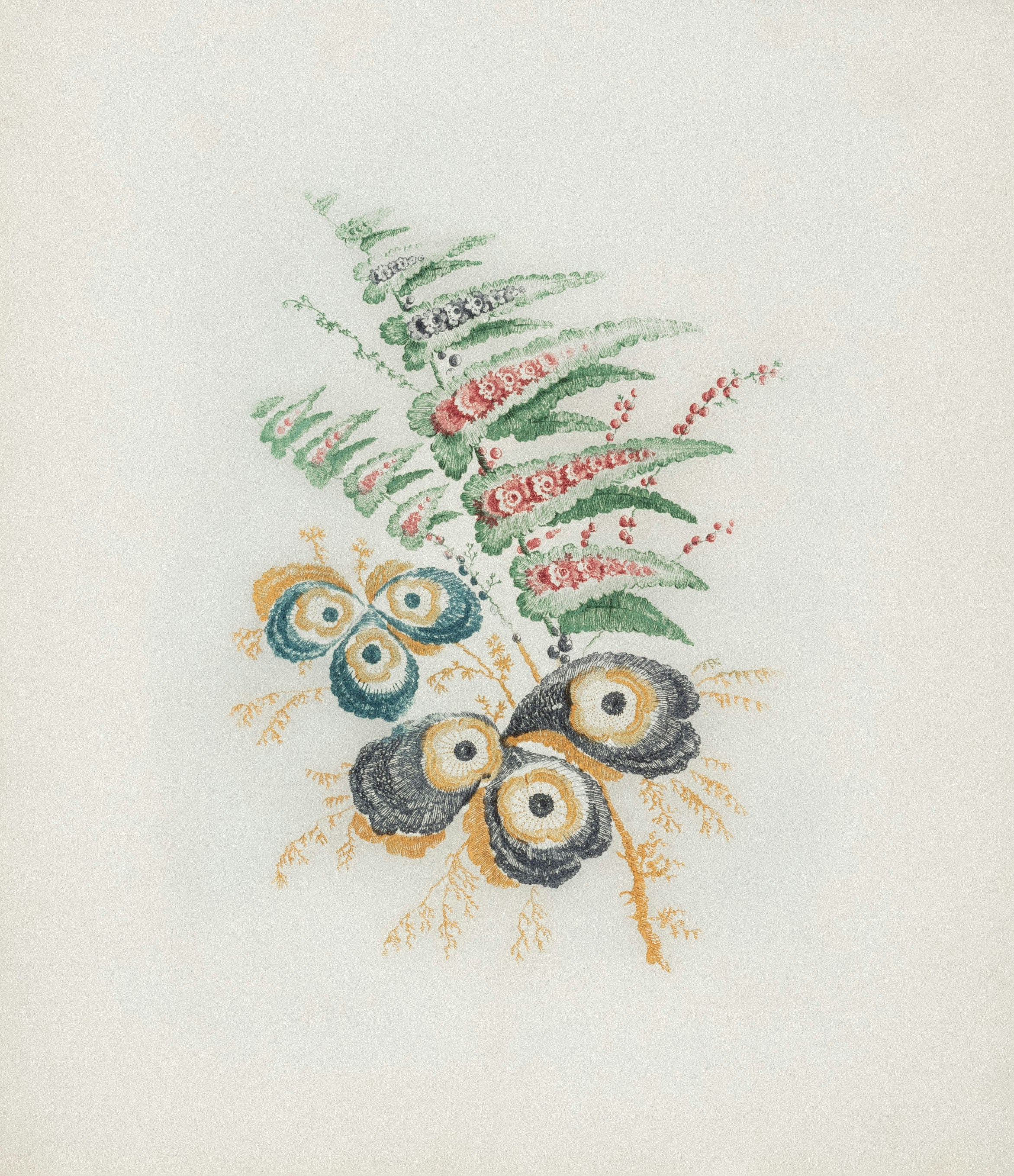 A drawing of a plant with eyes on it photo – Free Archival Image on ...