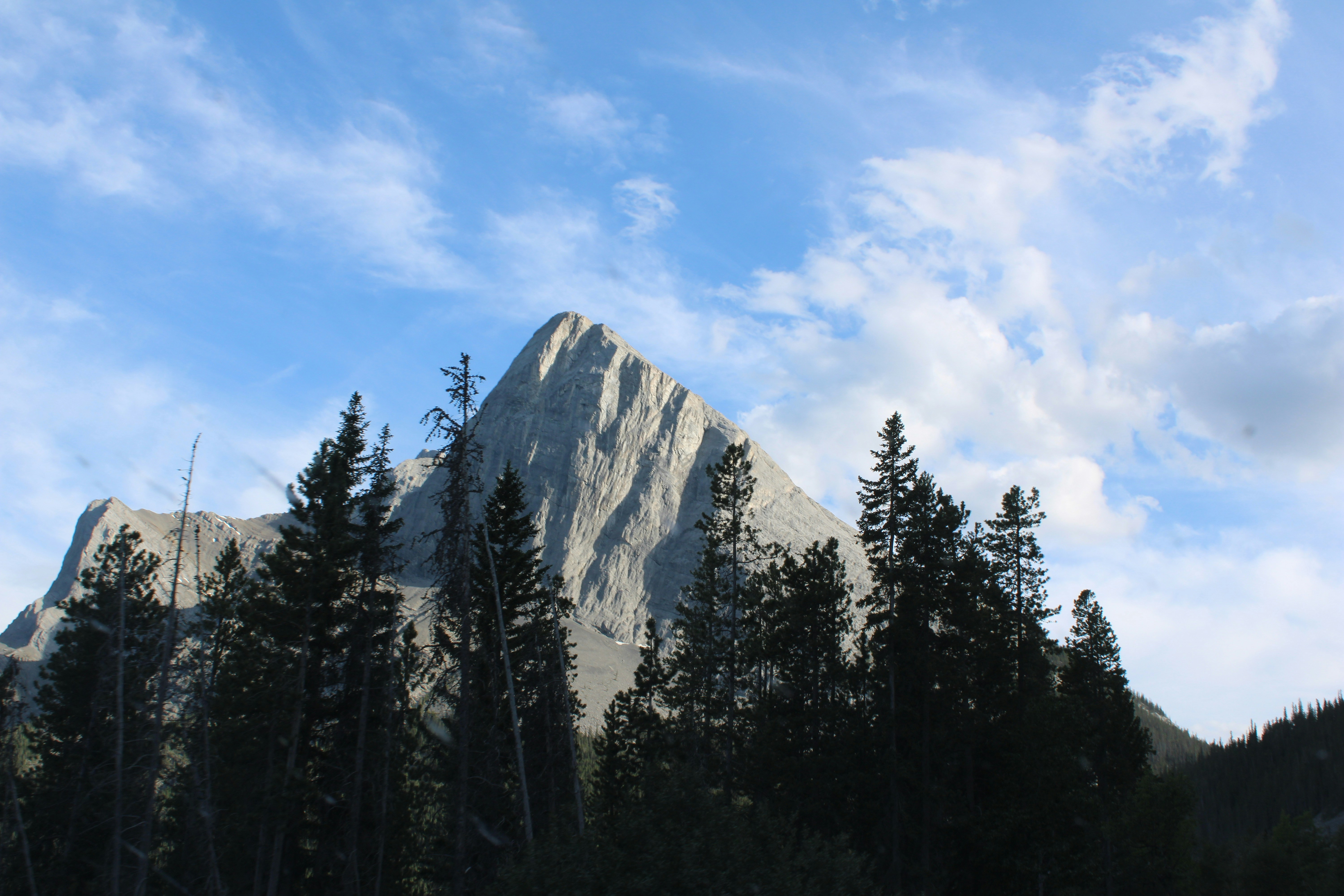 A view of a mountain with trees in the foreground photo – Free Scenery ...