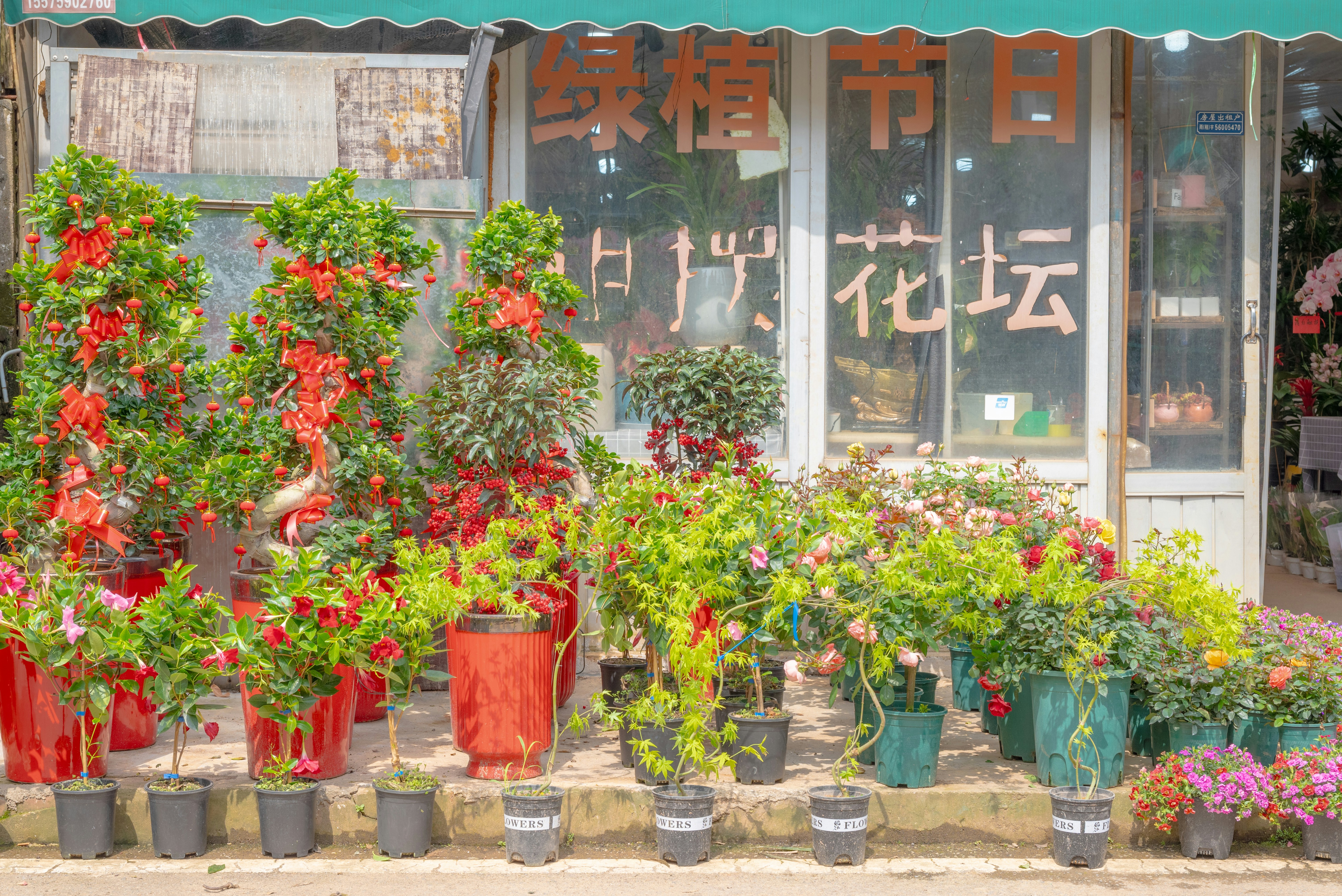 Pots in Bloom: A Sunlit Florist’s Colorful Façade