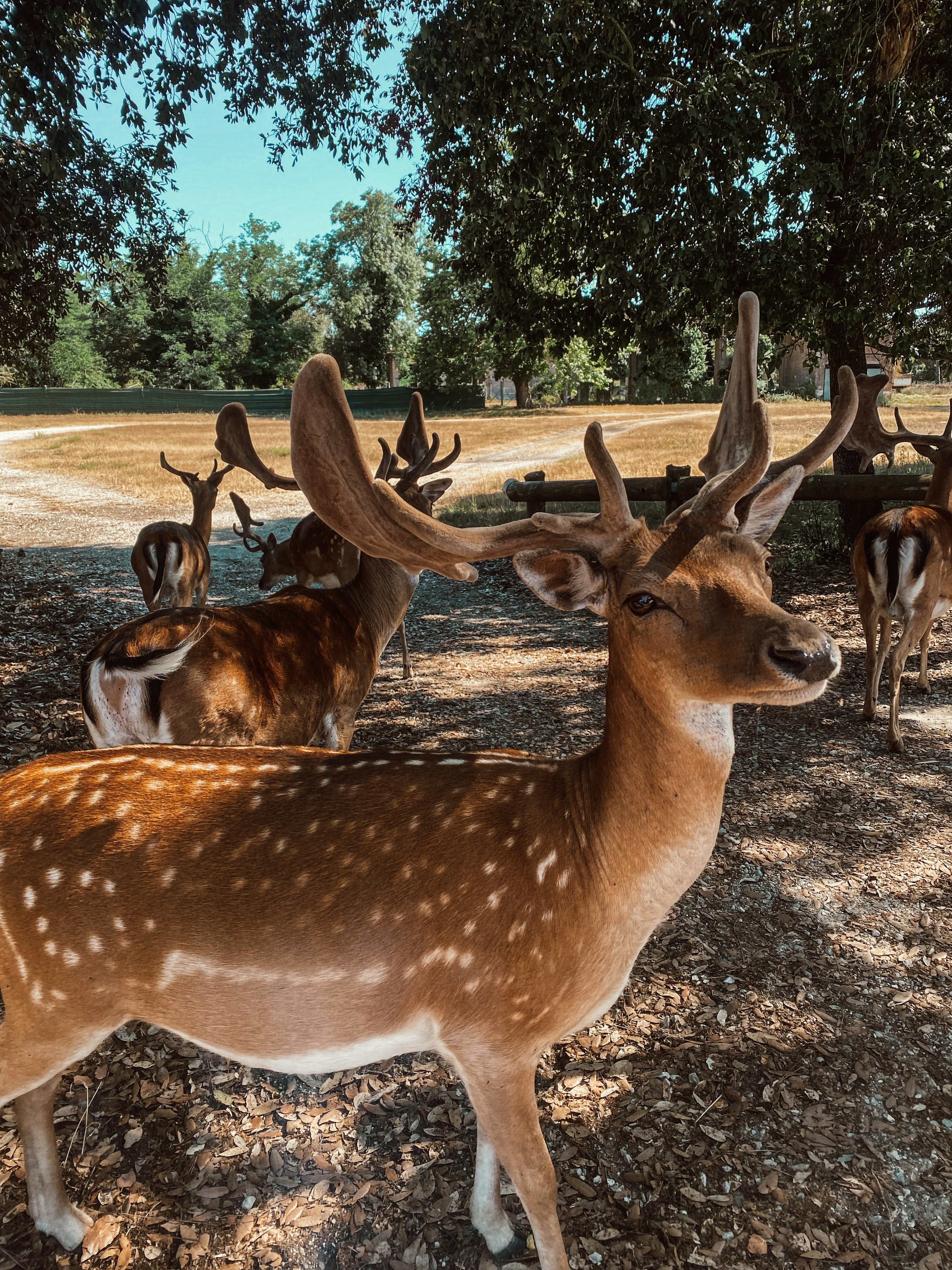 Photo by Yana K. with Apple iPhone 11 Pro Max