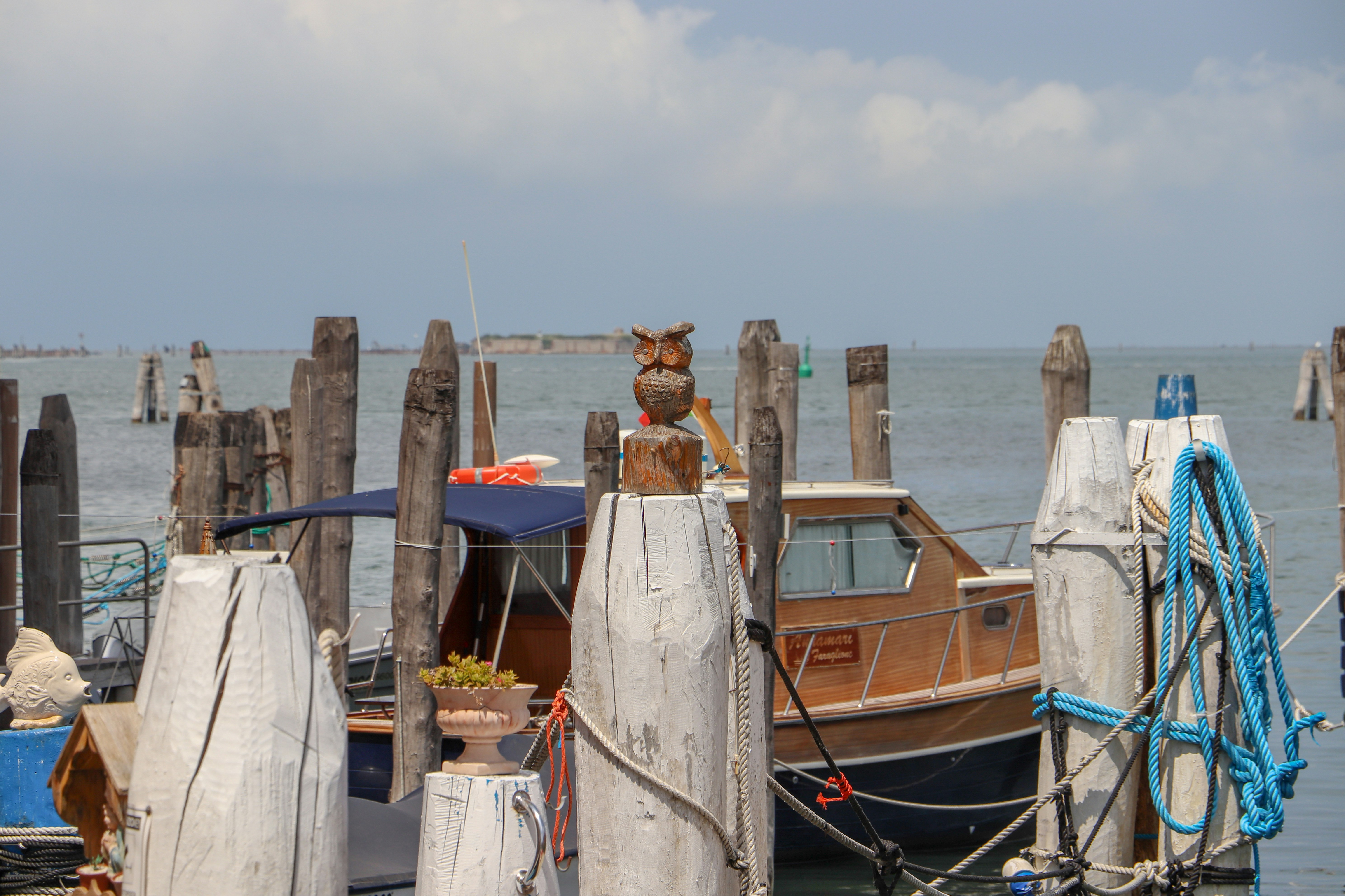 Owl Sentinel Over the Marina: Weathered Pylons Framing a Tranquil Harbor