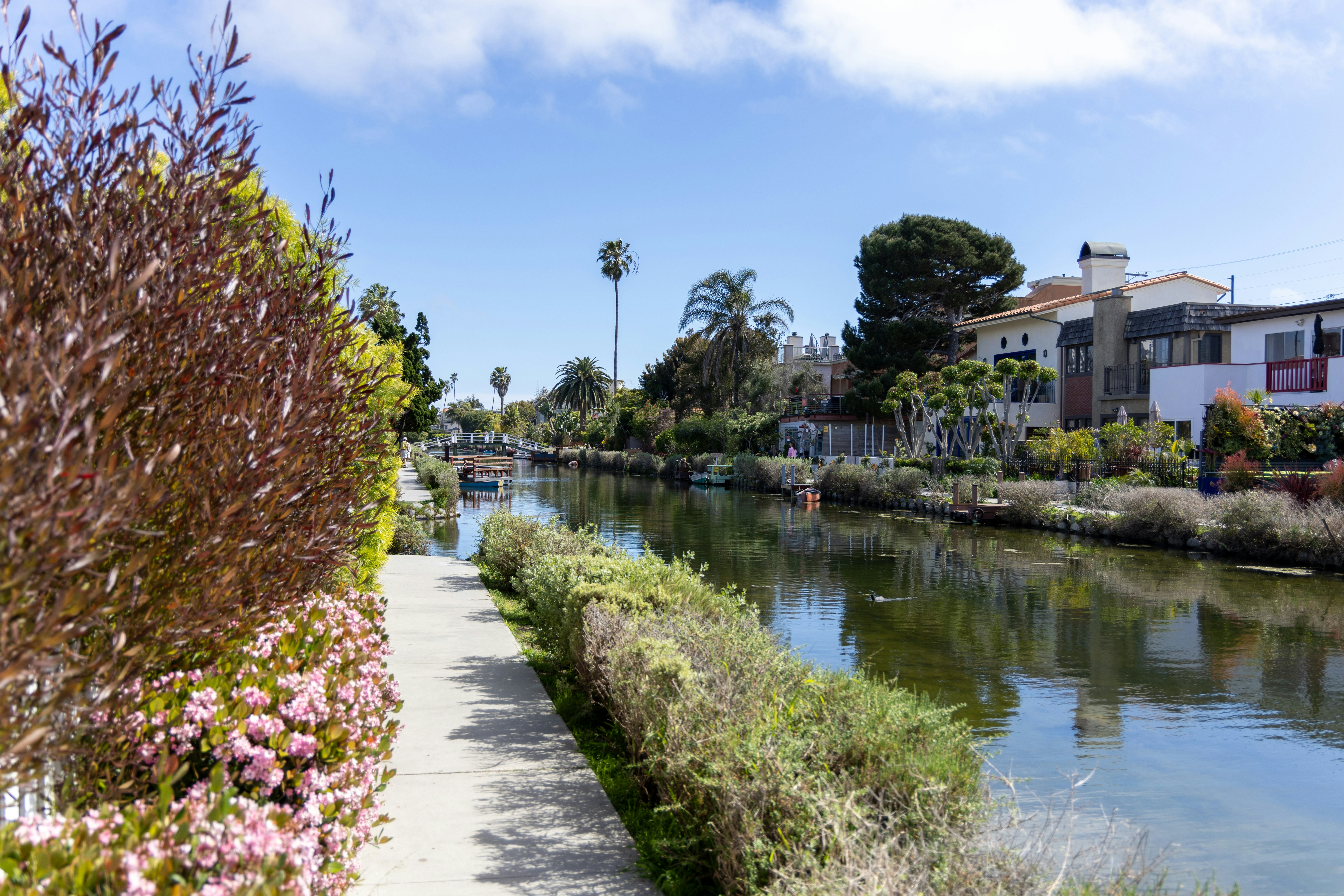 Lush greenery and vibrant flowers line a tranquil canal, with palm trees swaying gently in the background. A peaceful walkway invites exploration.