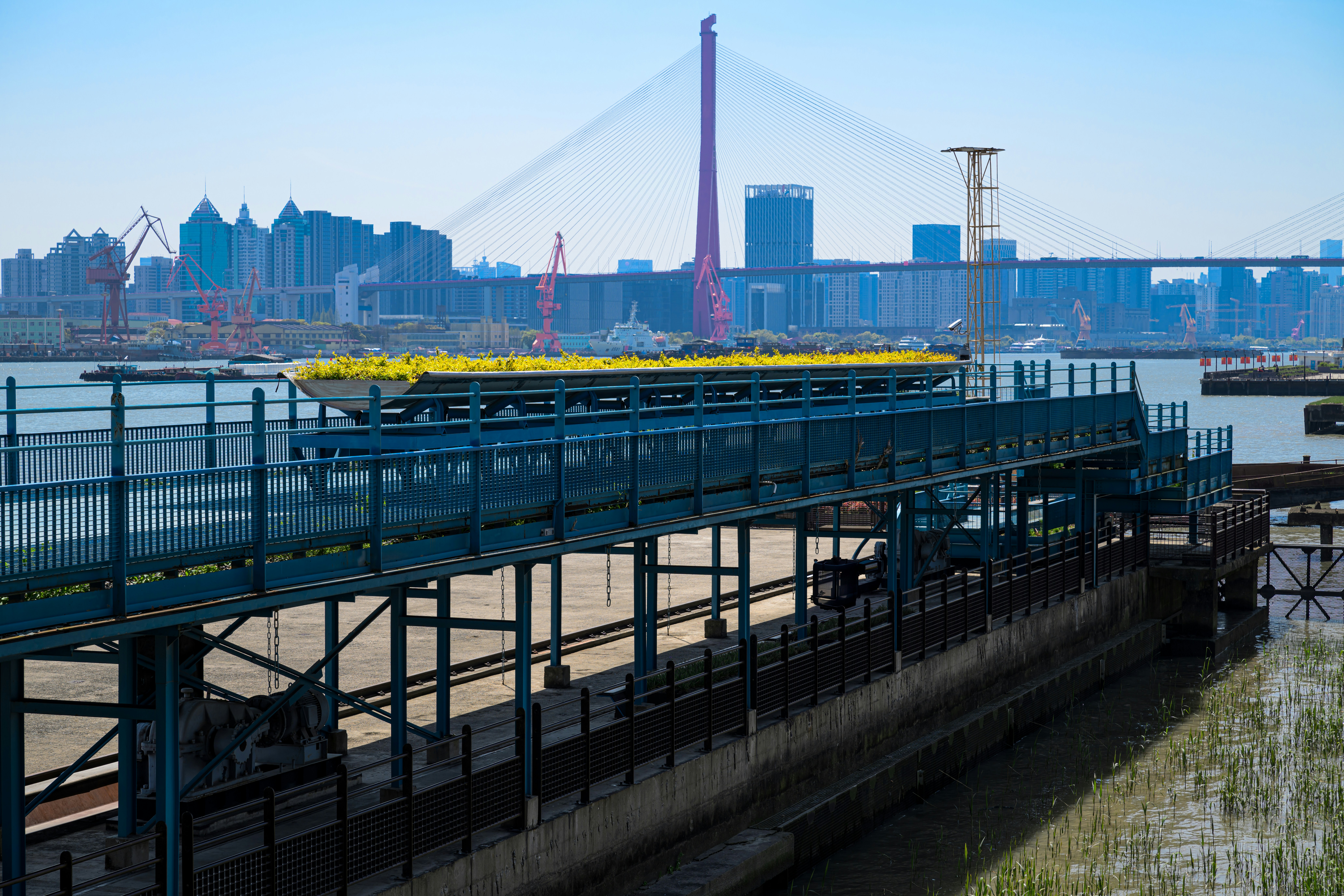 Promenade to the Skyline: A Waterfront Perspective Framing a Cable-Stayed Arc