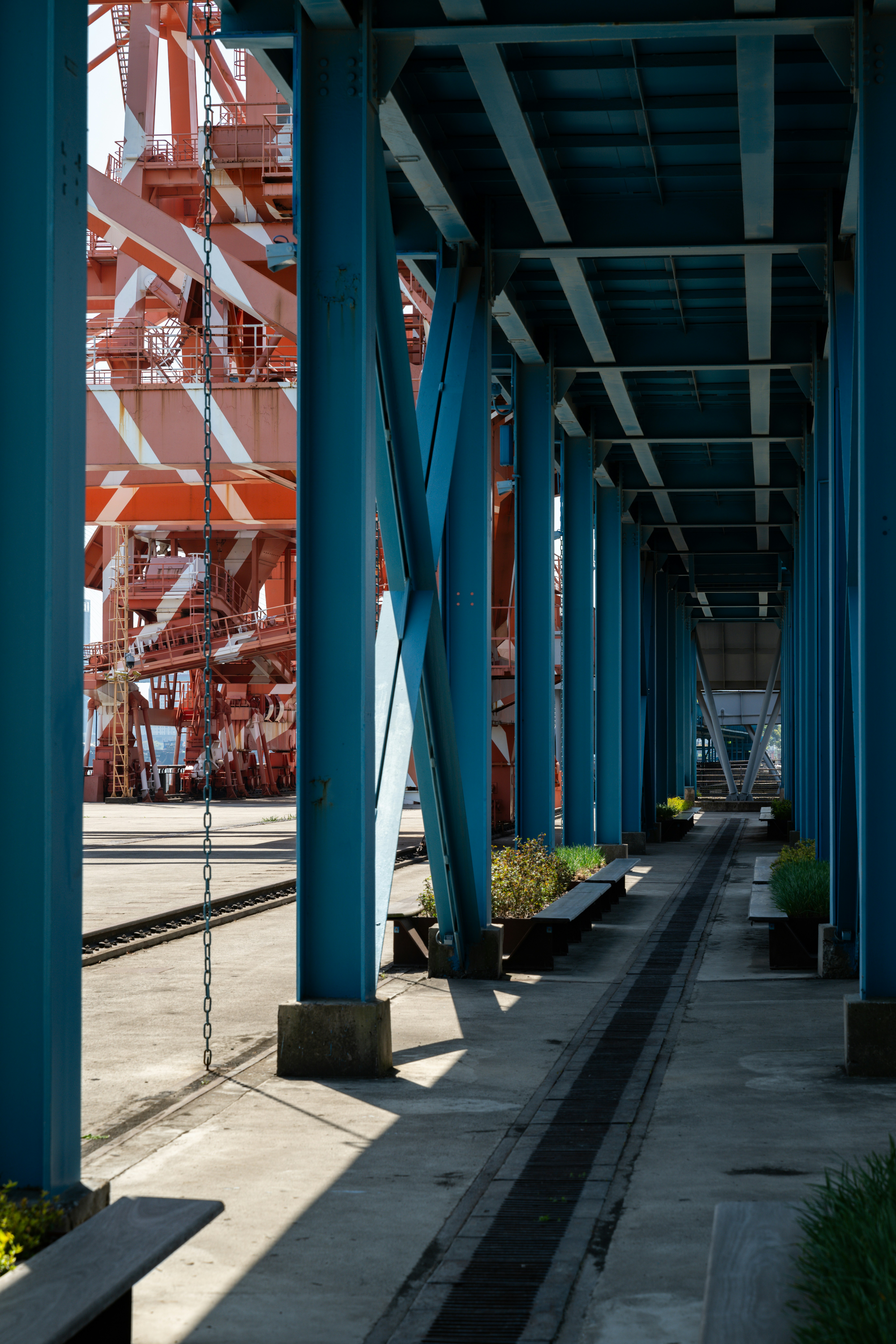 Blue Columns and Red Structures: A Corridor Through the Crane Yard