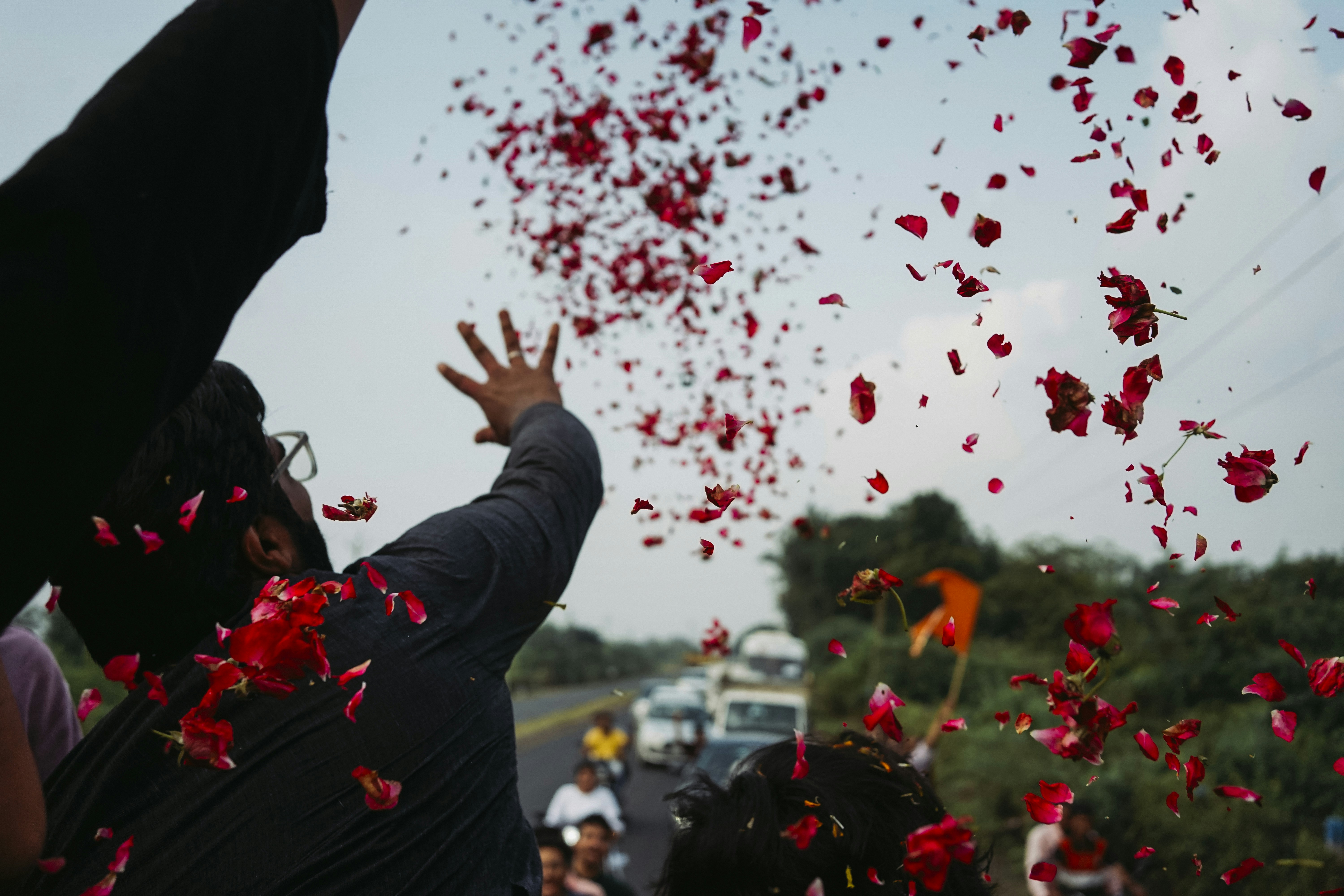 Red Petals Ascend: A Moment of Chaos and Celebration