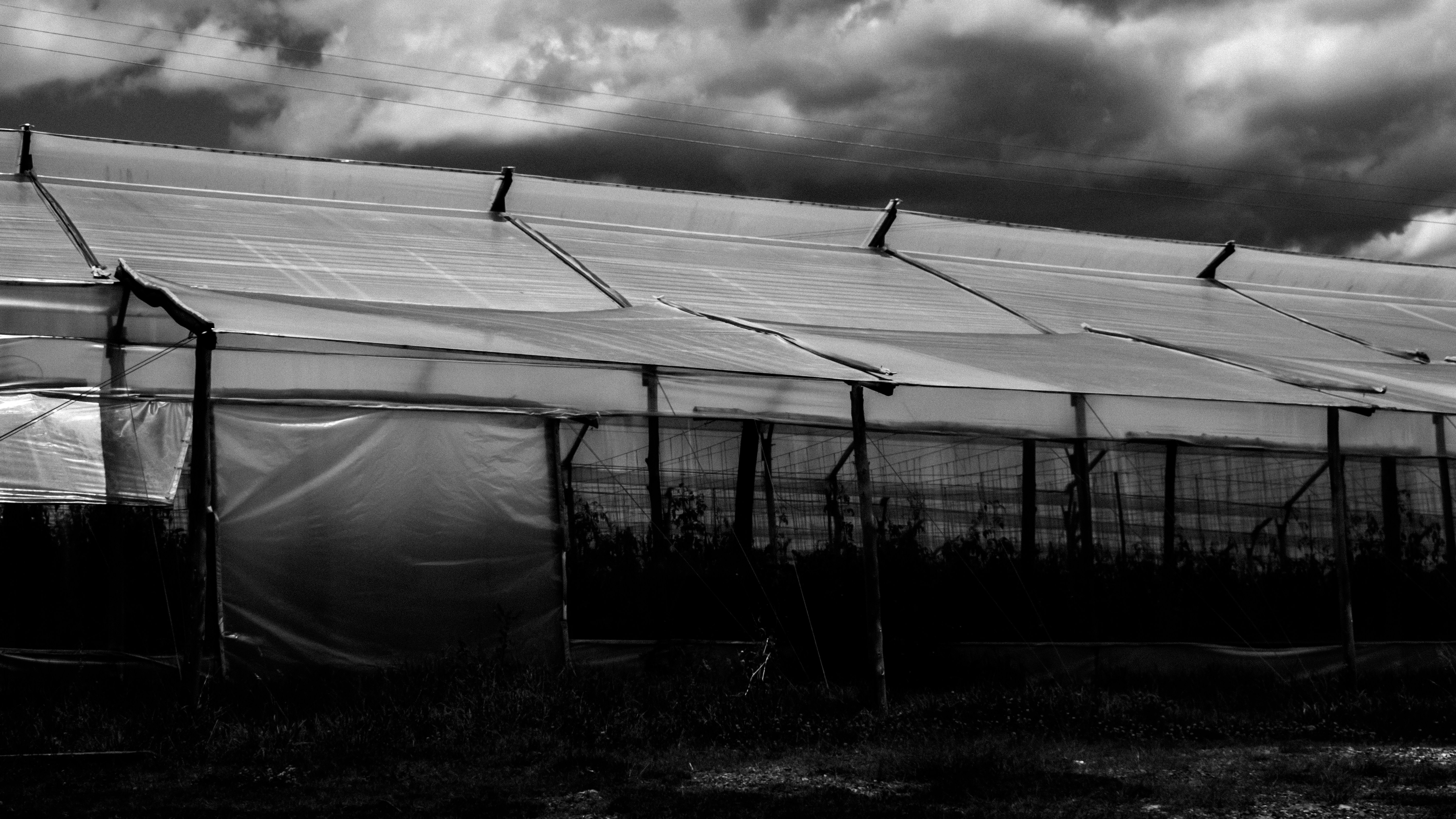 Dark and dramatic greenhouse structure under a cloudy sky, captured in black and white.