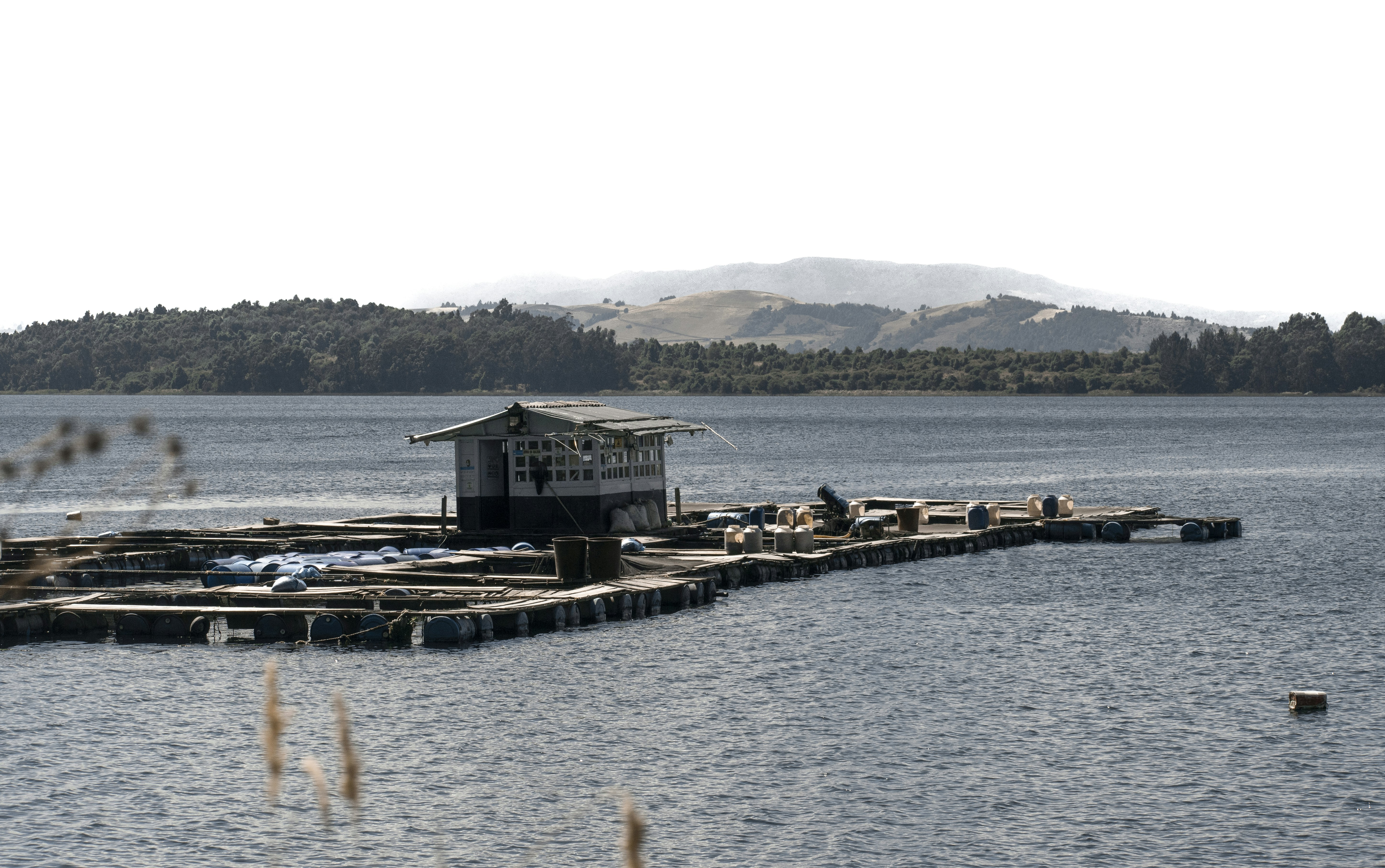 Floating Dockhouse: A Secluded Hut Anchored by Lakefront Platforms