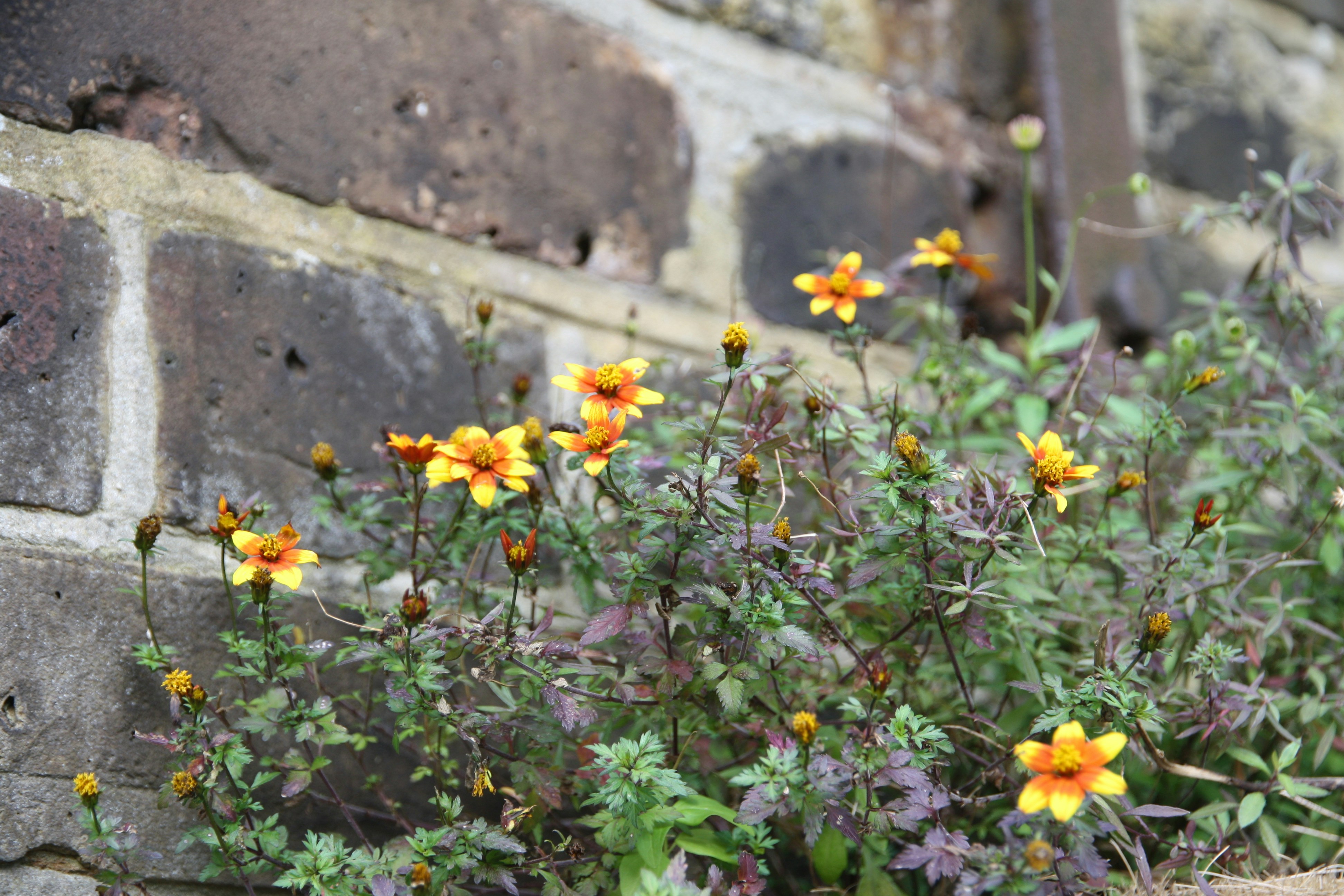 Photo by Frances Forbes-Carbines with Canon EOS 1000D