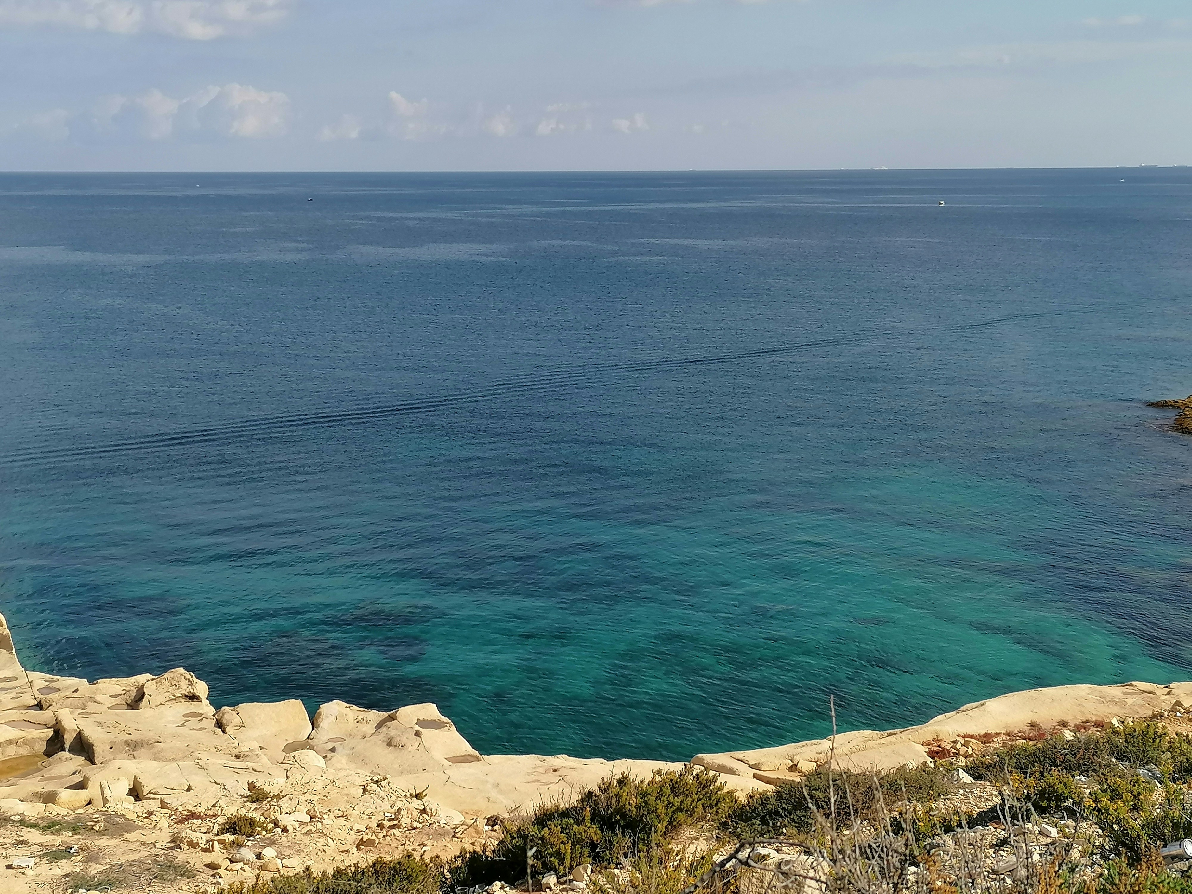 Photo by Pietro L. Carotenuto with Huawei P30 Lite