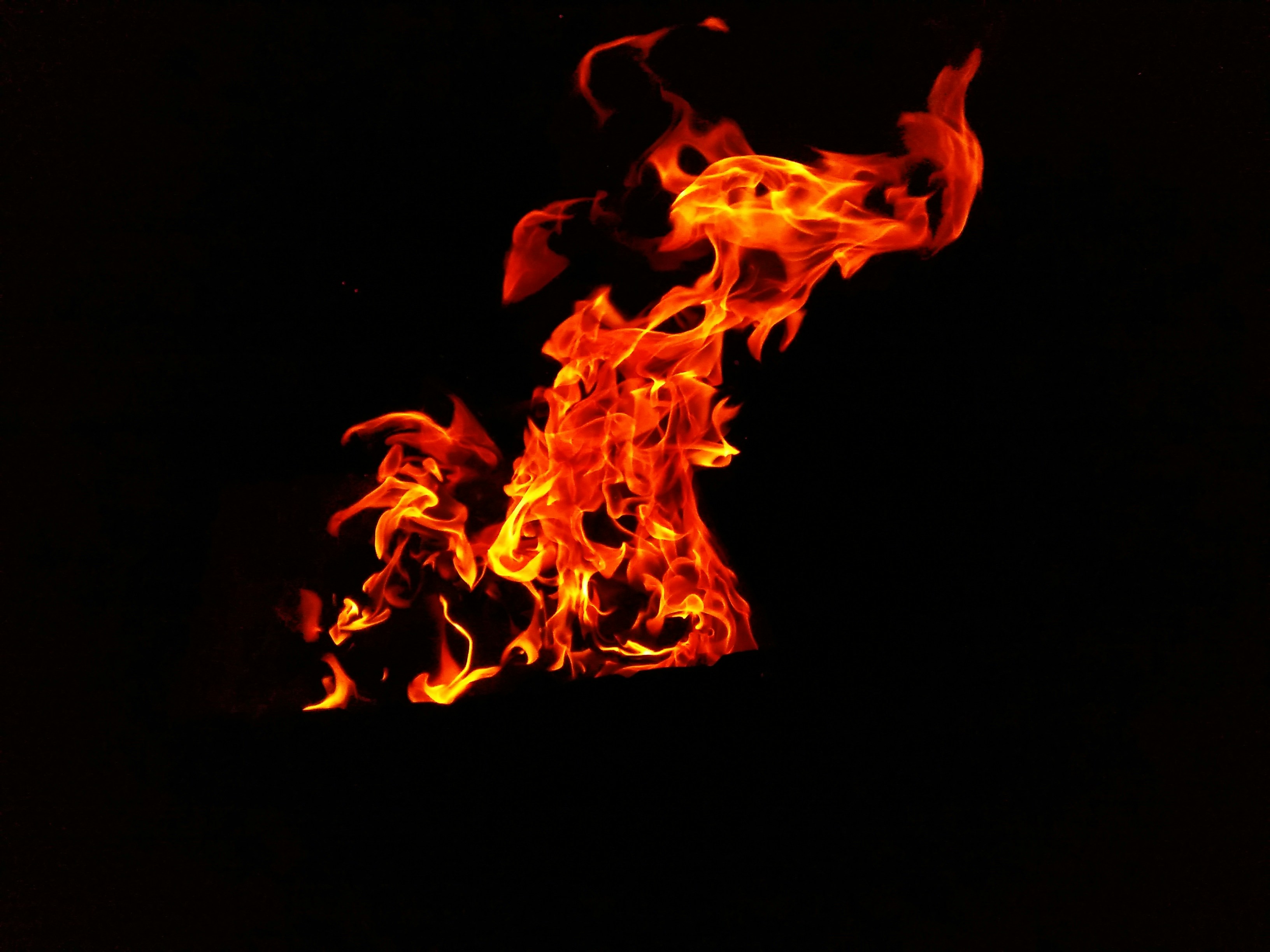 A close up of a fire on a black background photo – Free Fire Image on ...