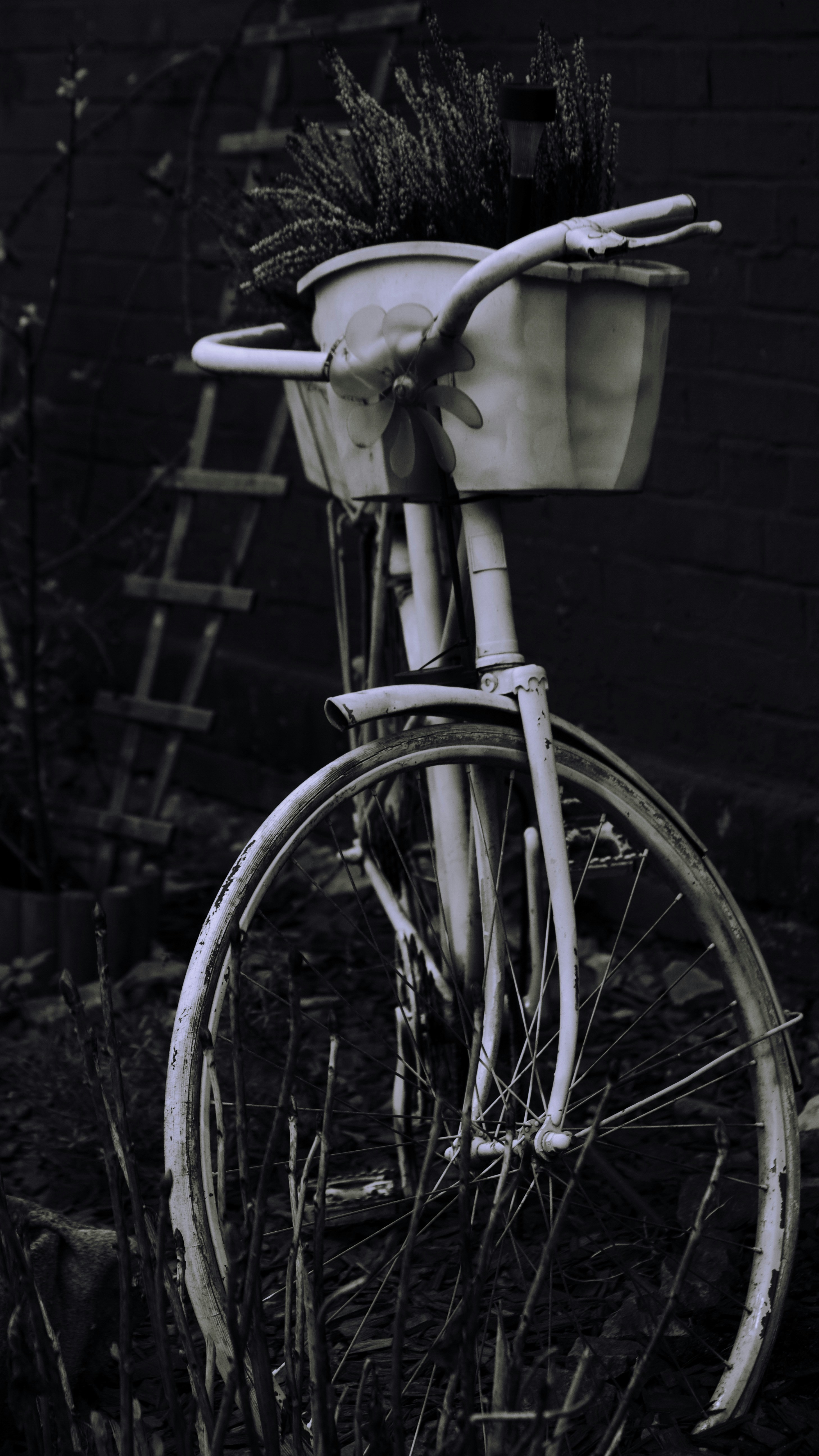 Velveteen Ghost of the Bicycle Garden
