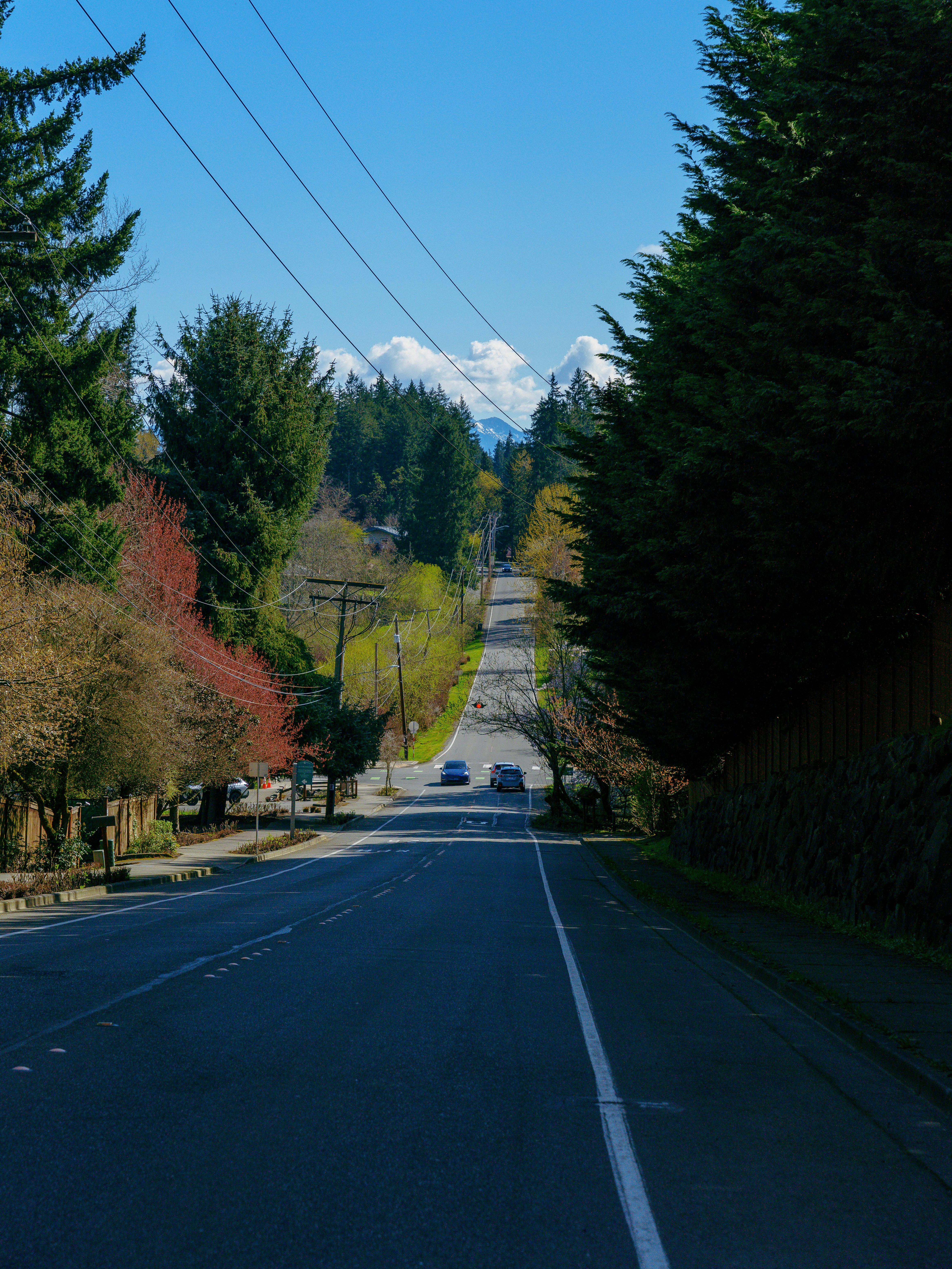 a car driving down a street next to a forestXimin Lin