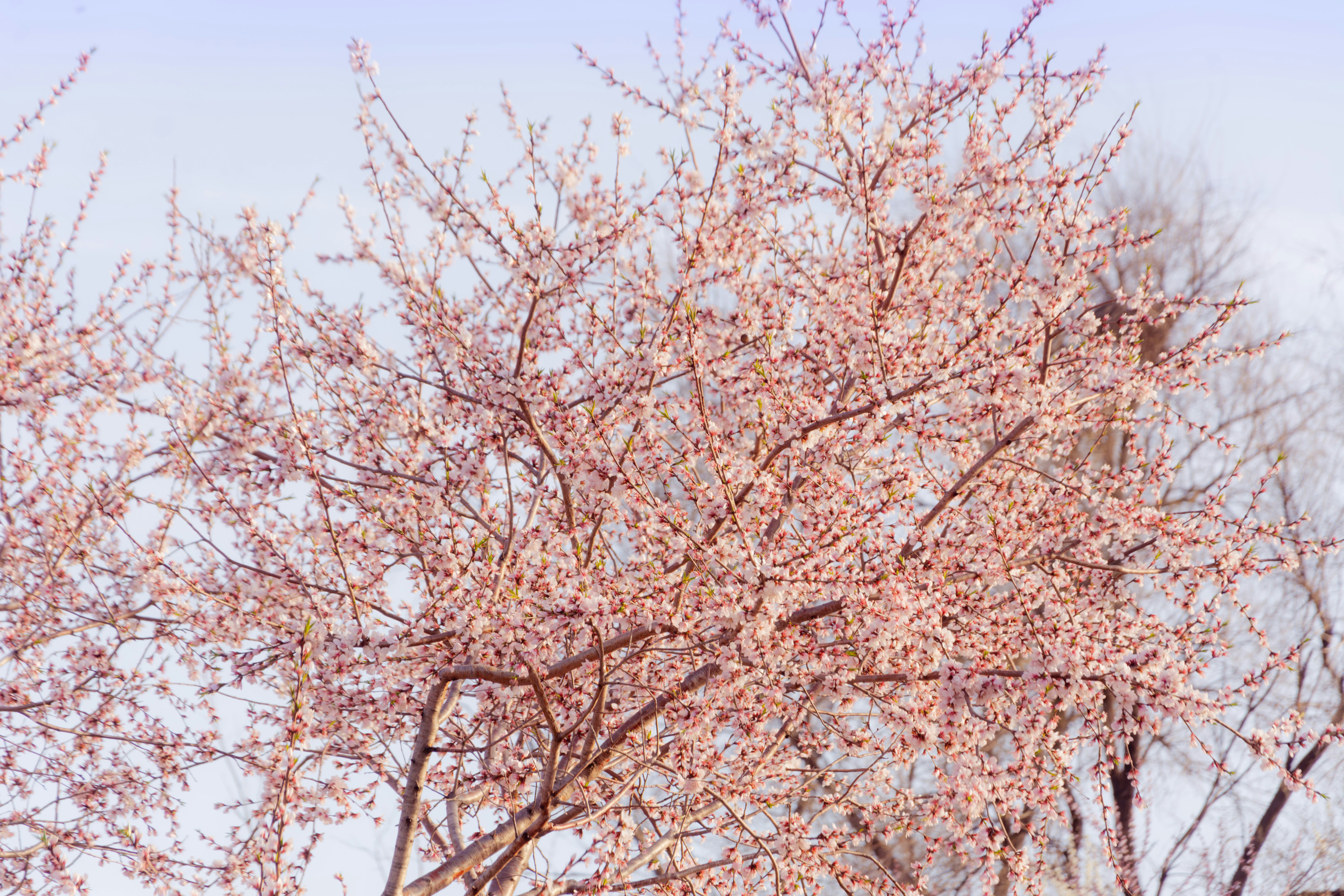 Photo by sk zhao with Nikon D7100