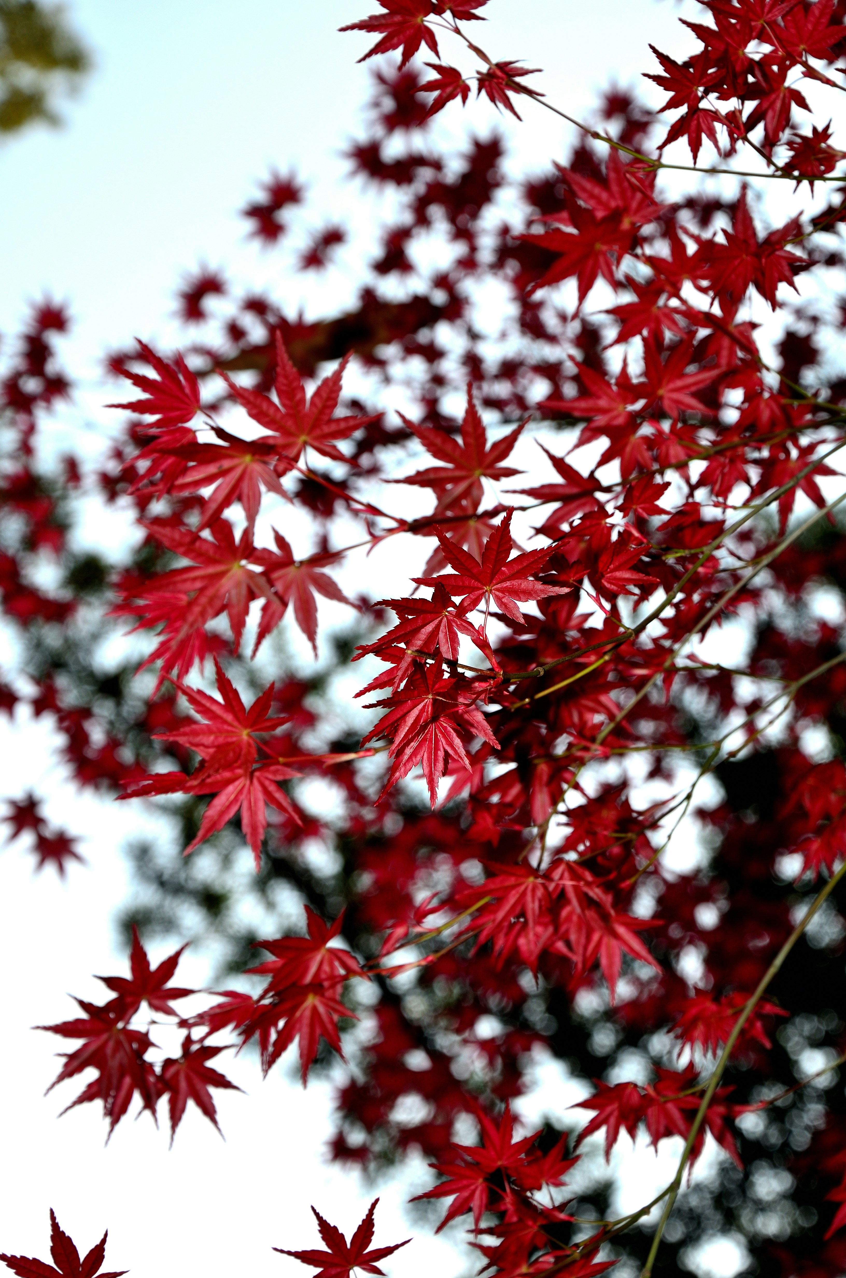 charles hsiao (@charleschina) | Komunitas Foto Unsplash