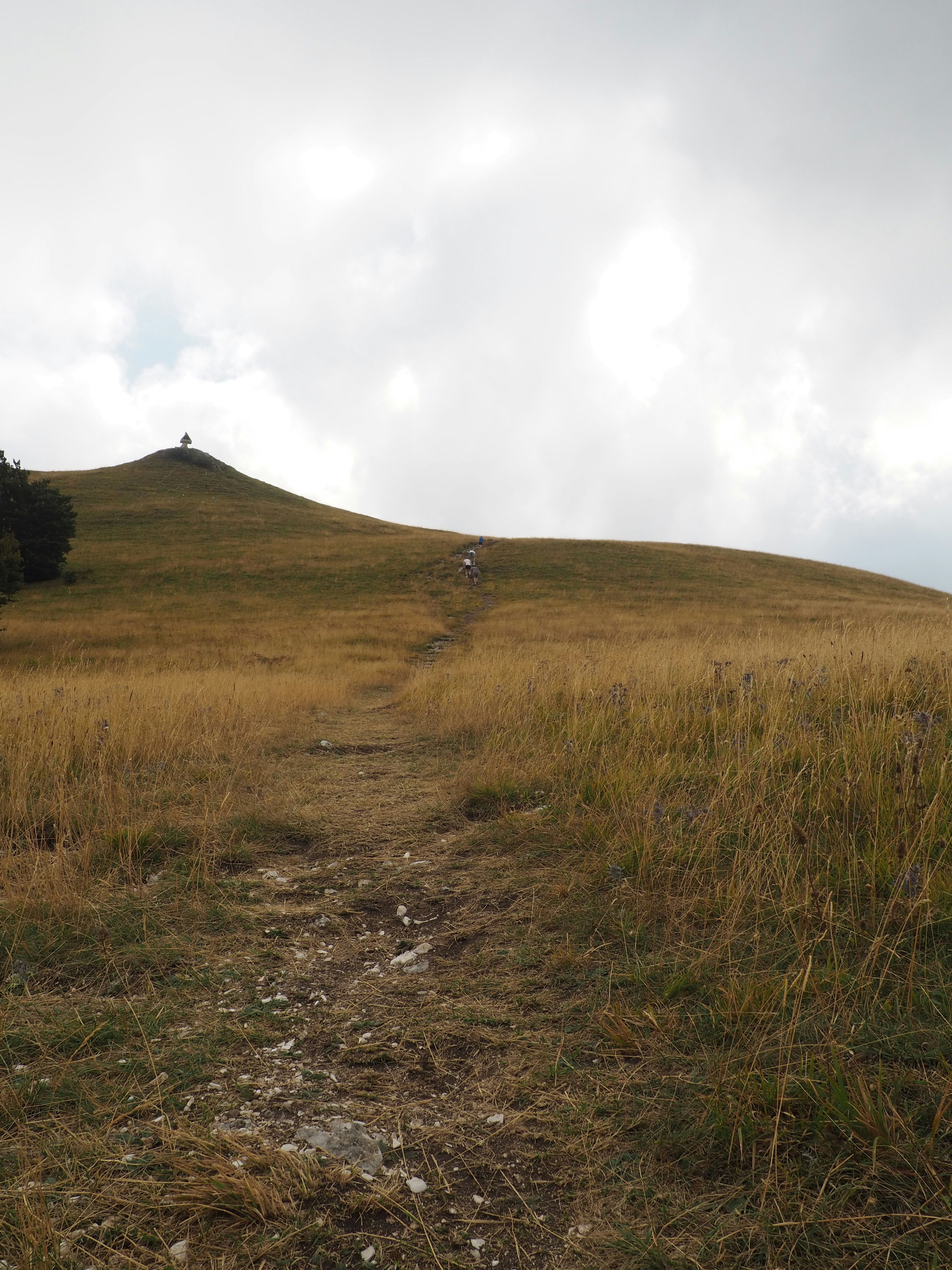 A dirt path going up a grassy hill photo – Free Outdoors Image on Unsplash