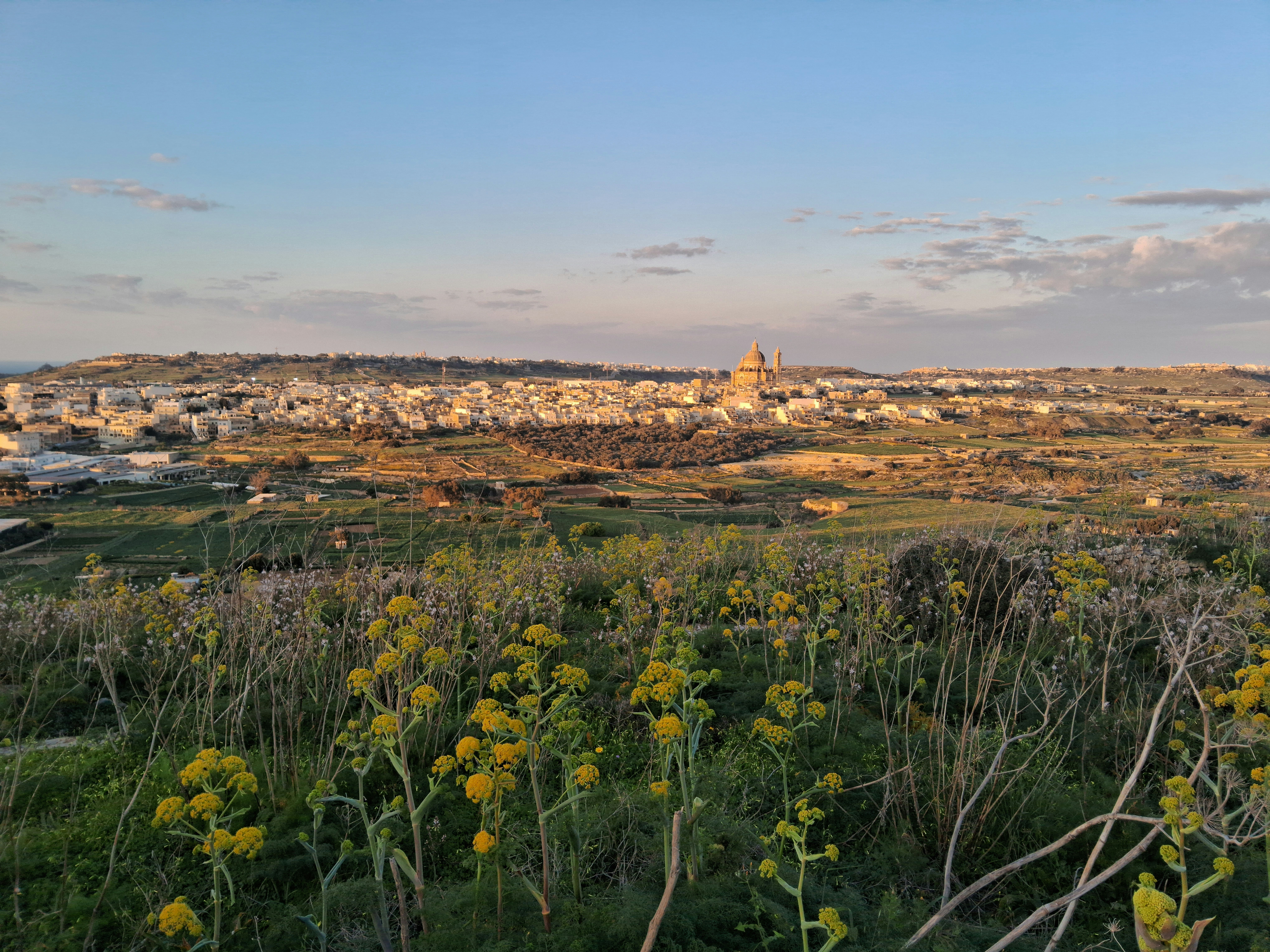 Sunlit foreground of yellow wildflowers leads to a distant hill town with a domed church under a clear blue sky.