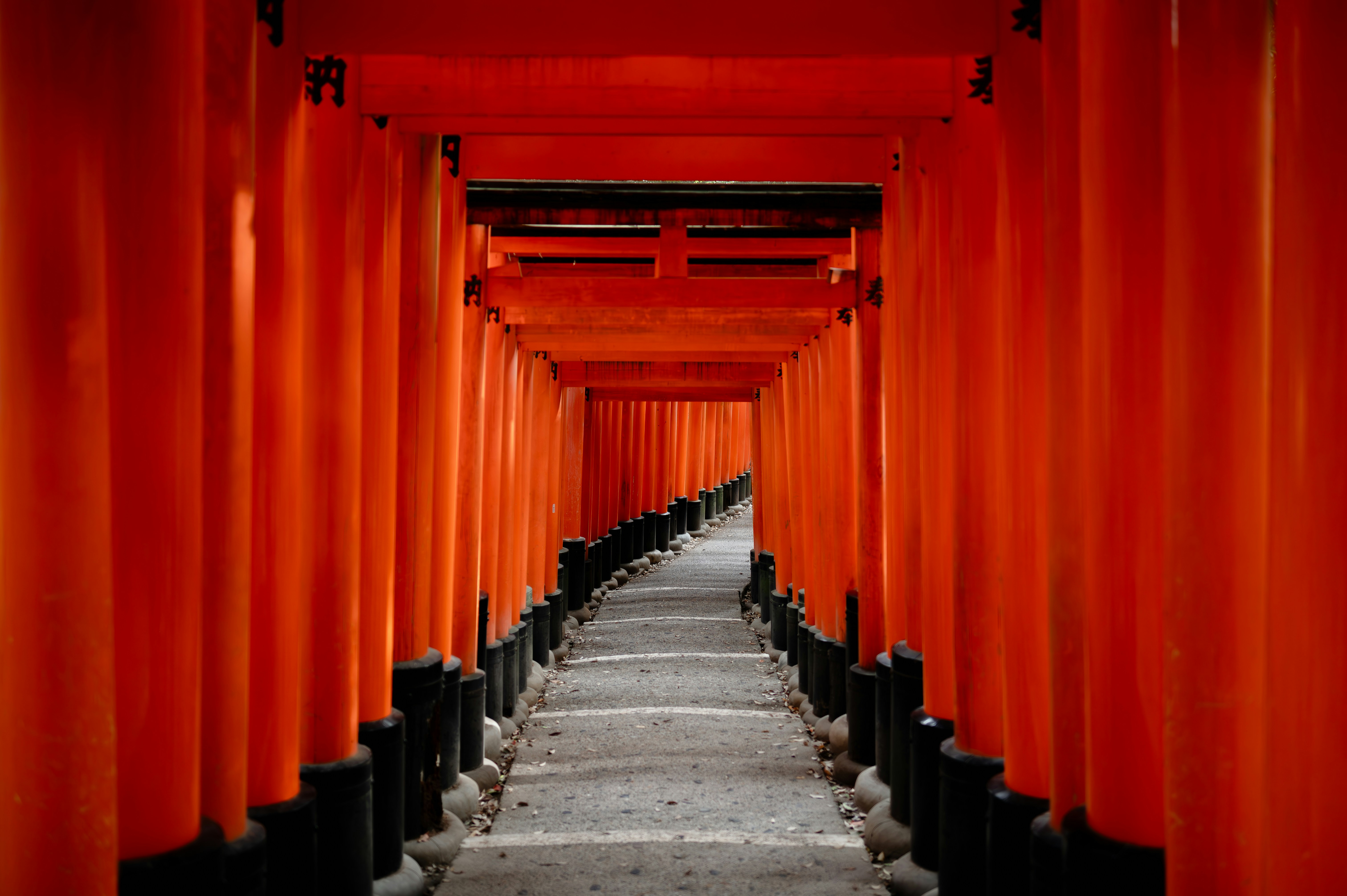 A long line of red pillars with black posts photo – Free Fushimi inari ...