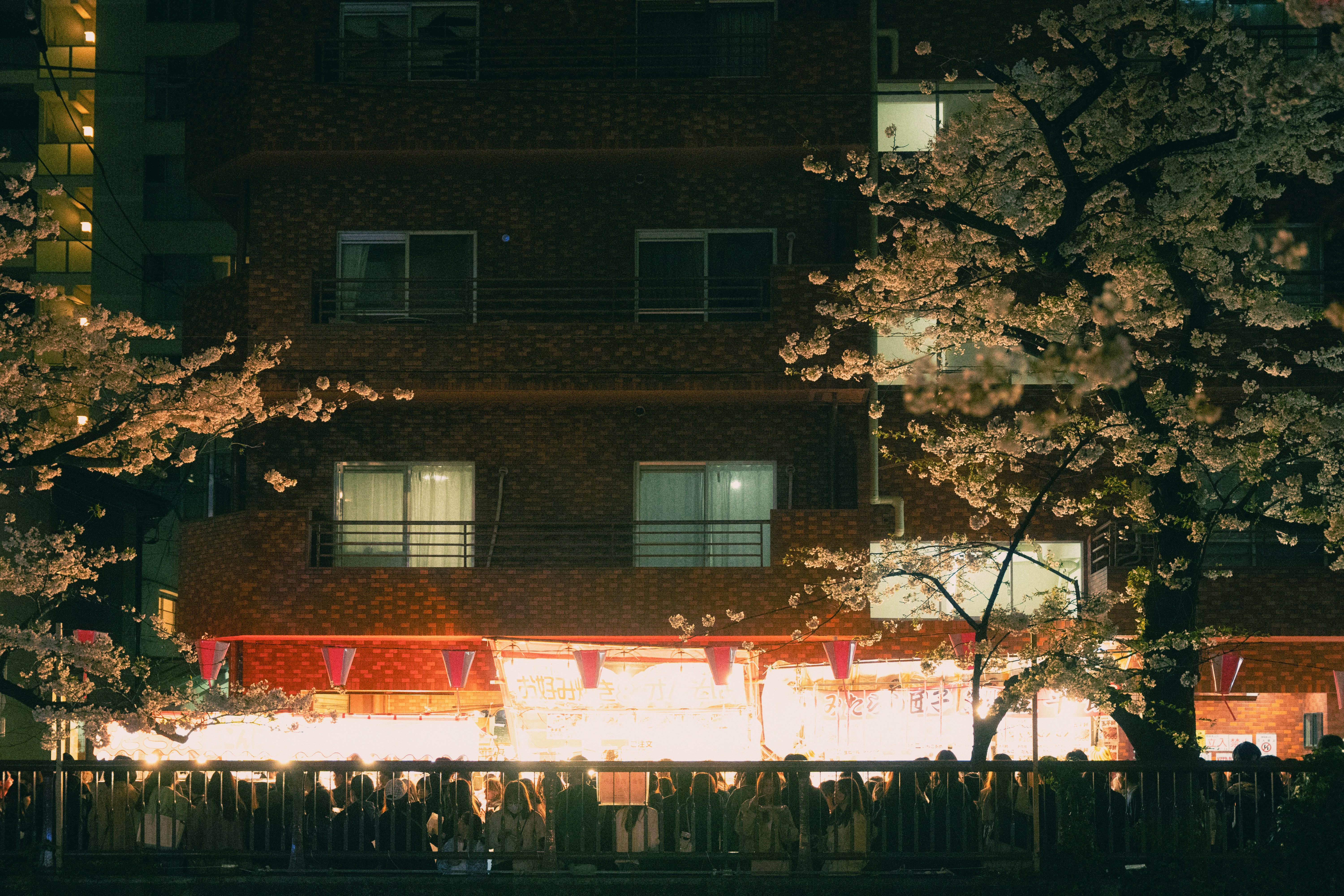 Night Bloom on the Bridgefront