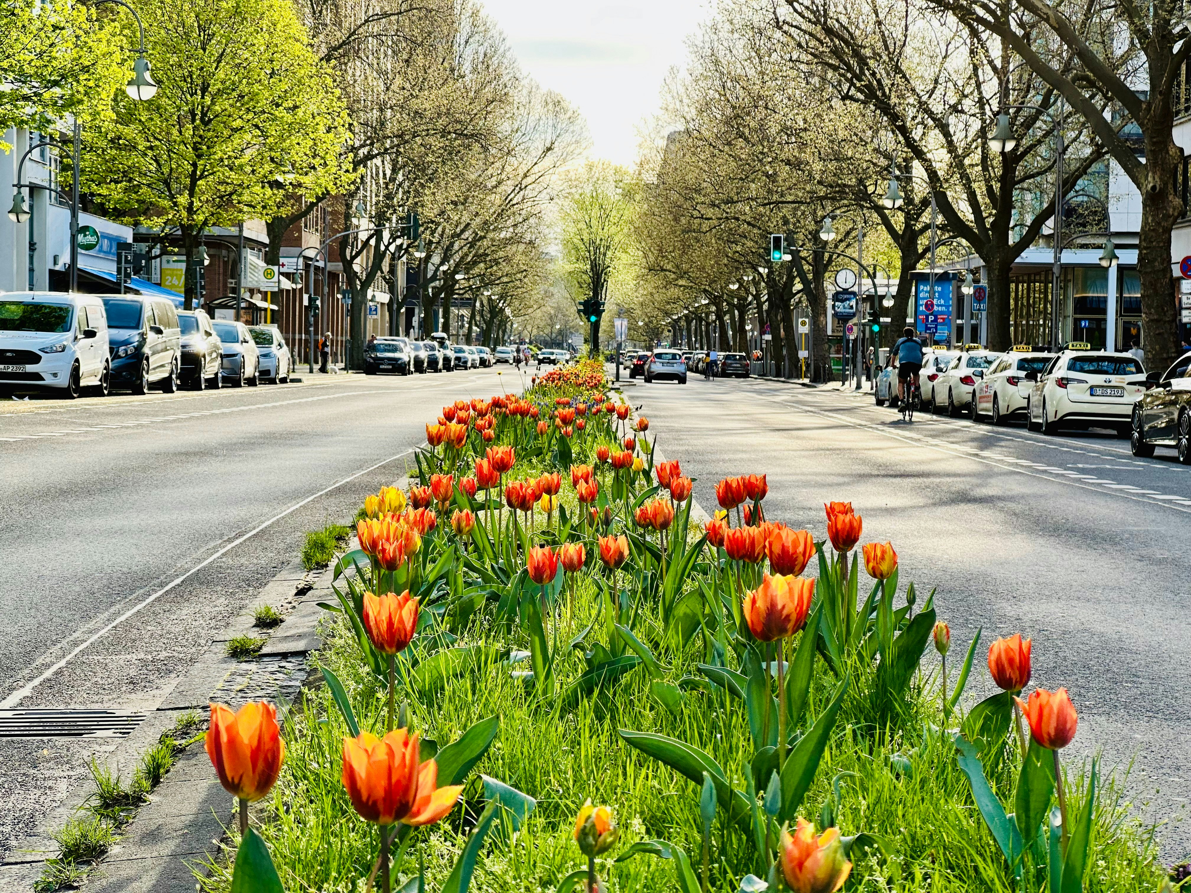 Tulip Boulevard: An Orange Corridor Through a City Street
