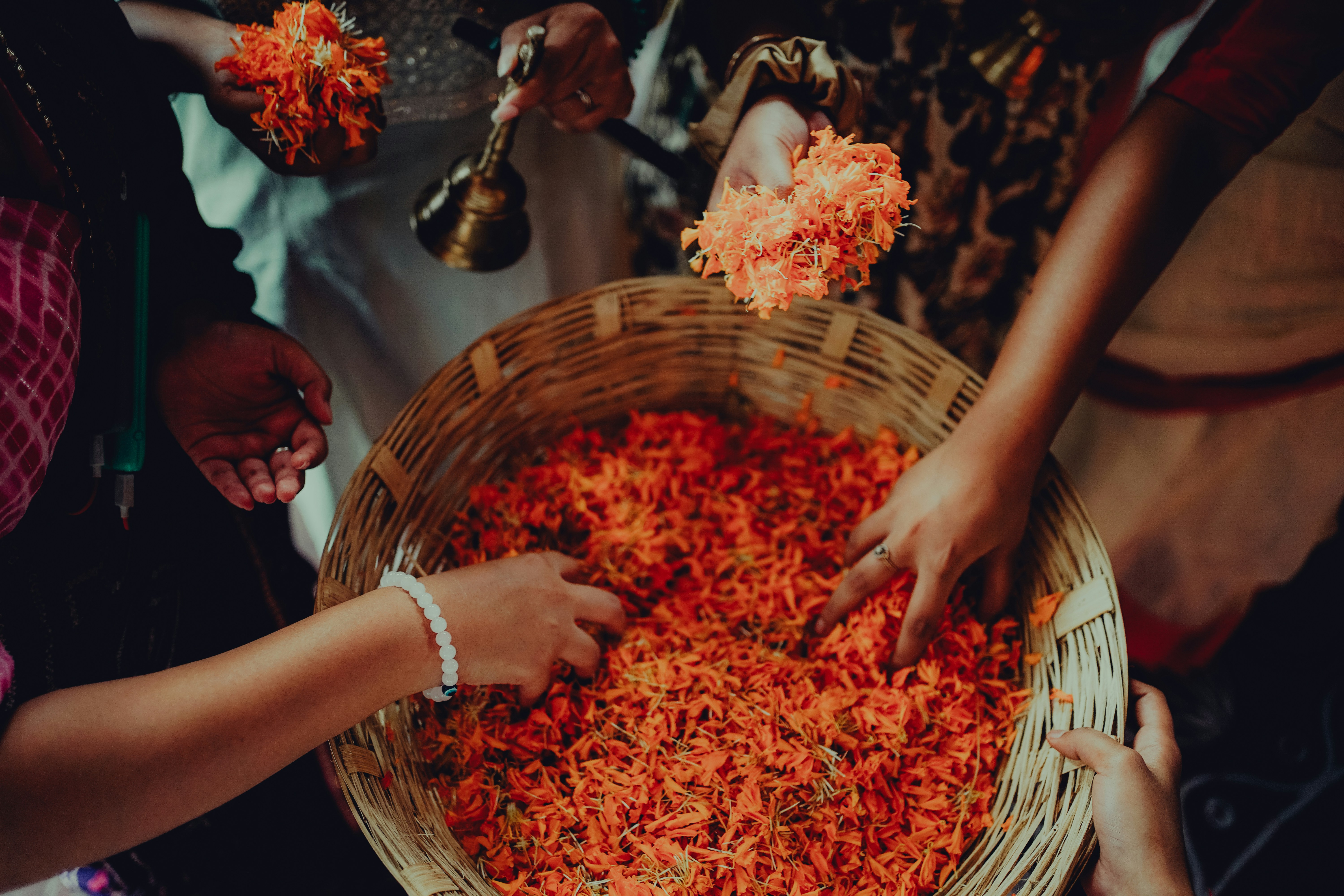Circle of Orange Petals: Hands Over a Woven Basket