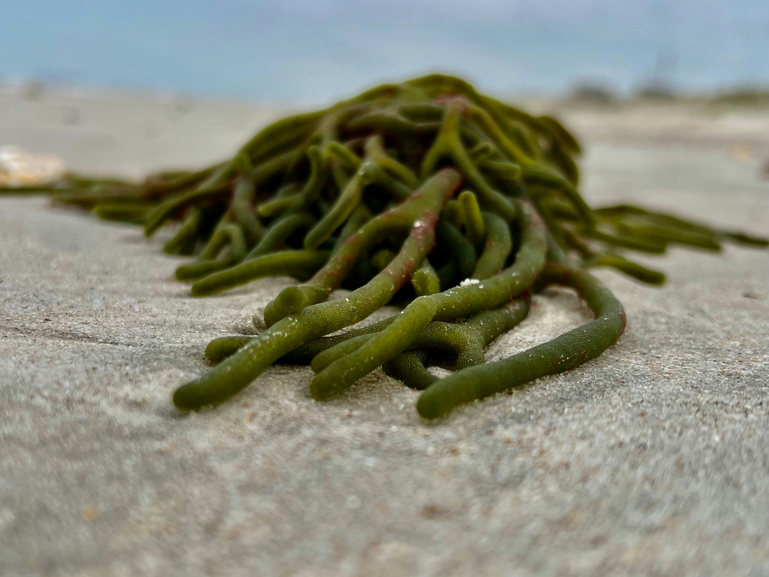 Photo by Norm Mast with Apple iPhone 13 Pro Max