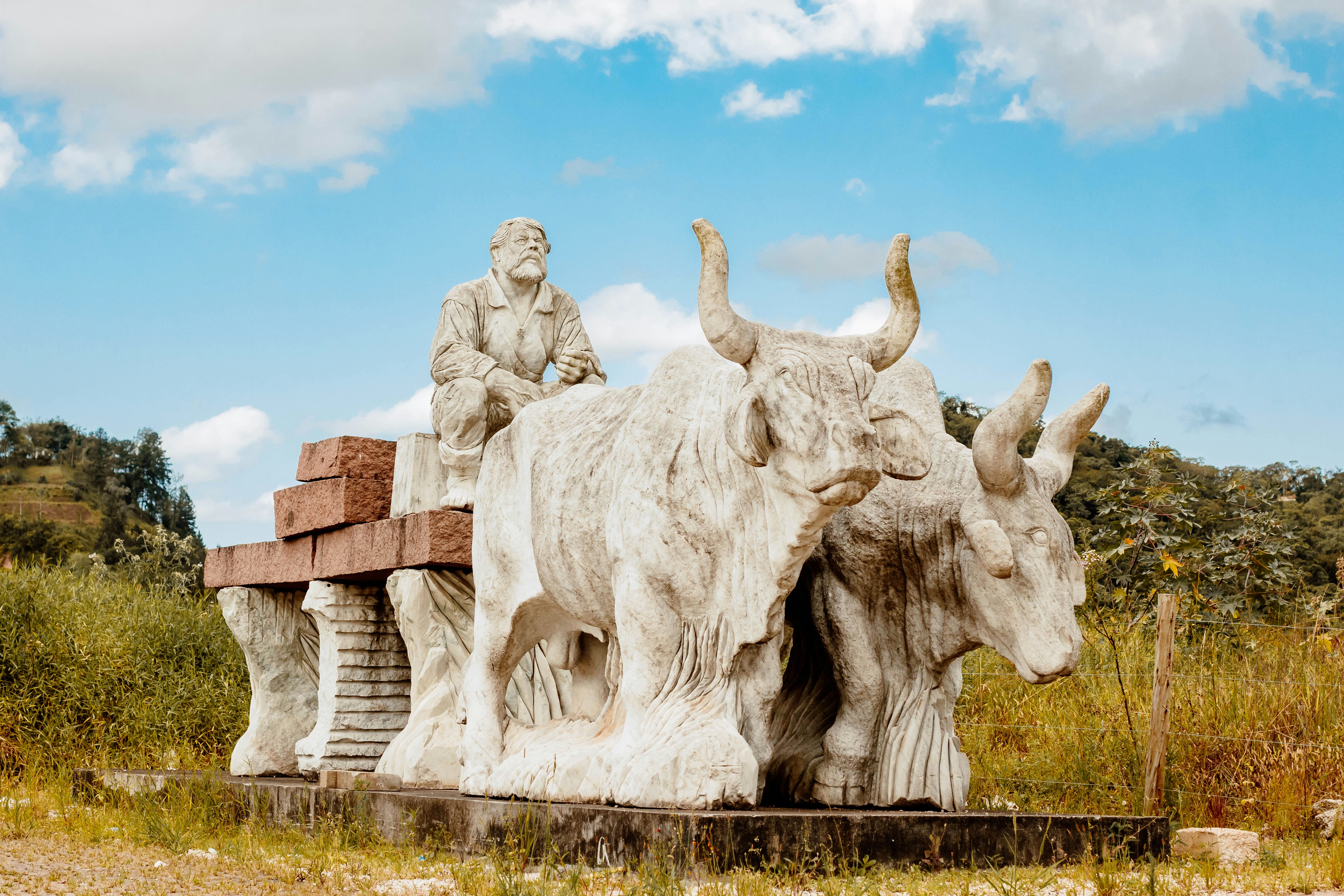 Stone Guardian on the Prairie: Carver’s Figure Among Bulls