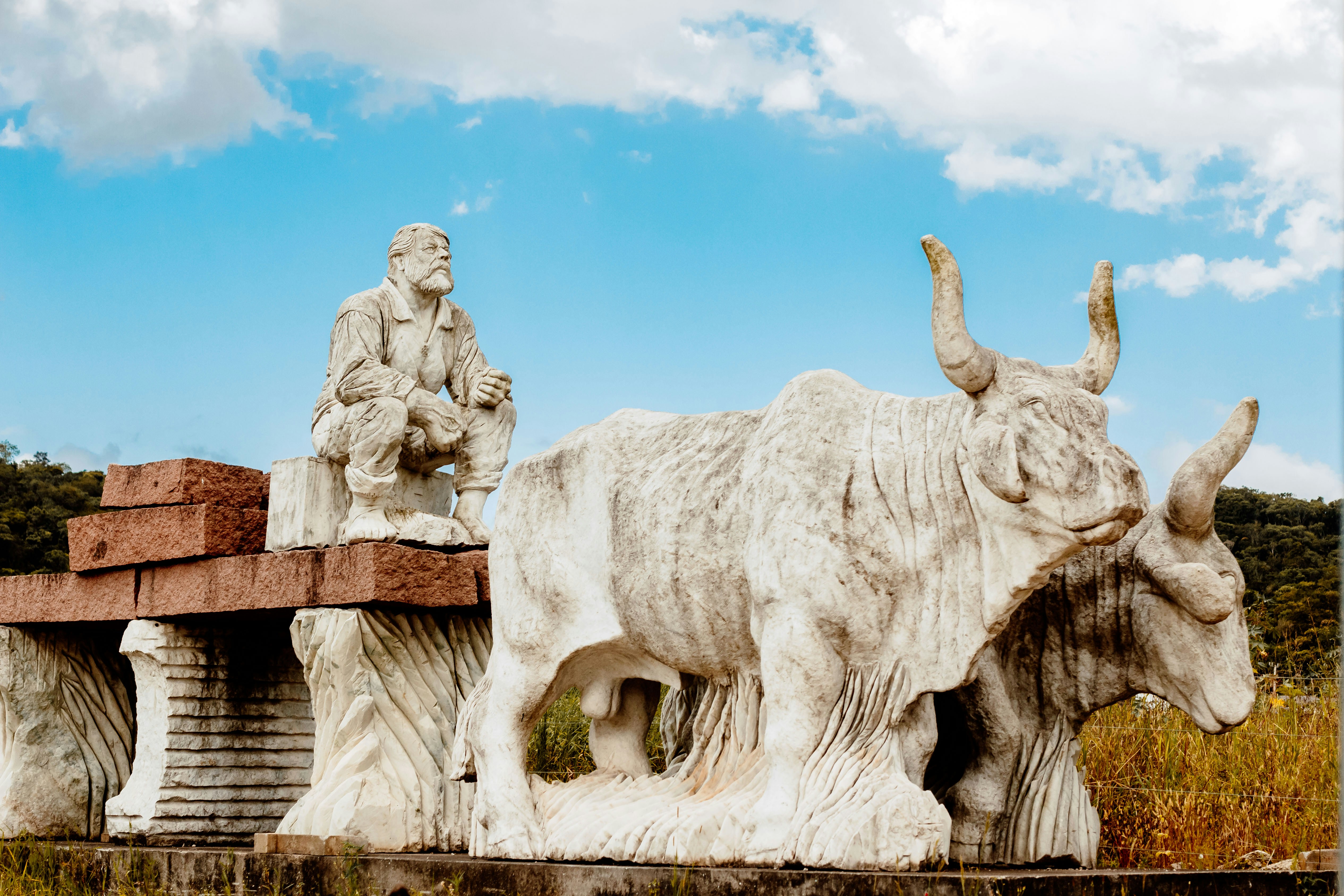 Granite Guardians: The Bull and the Seated Sentinel