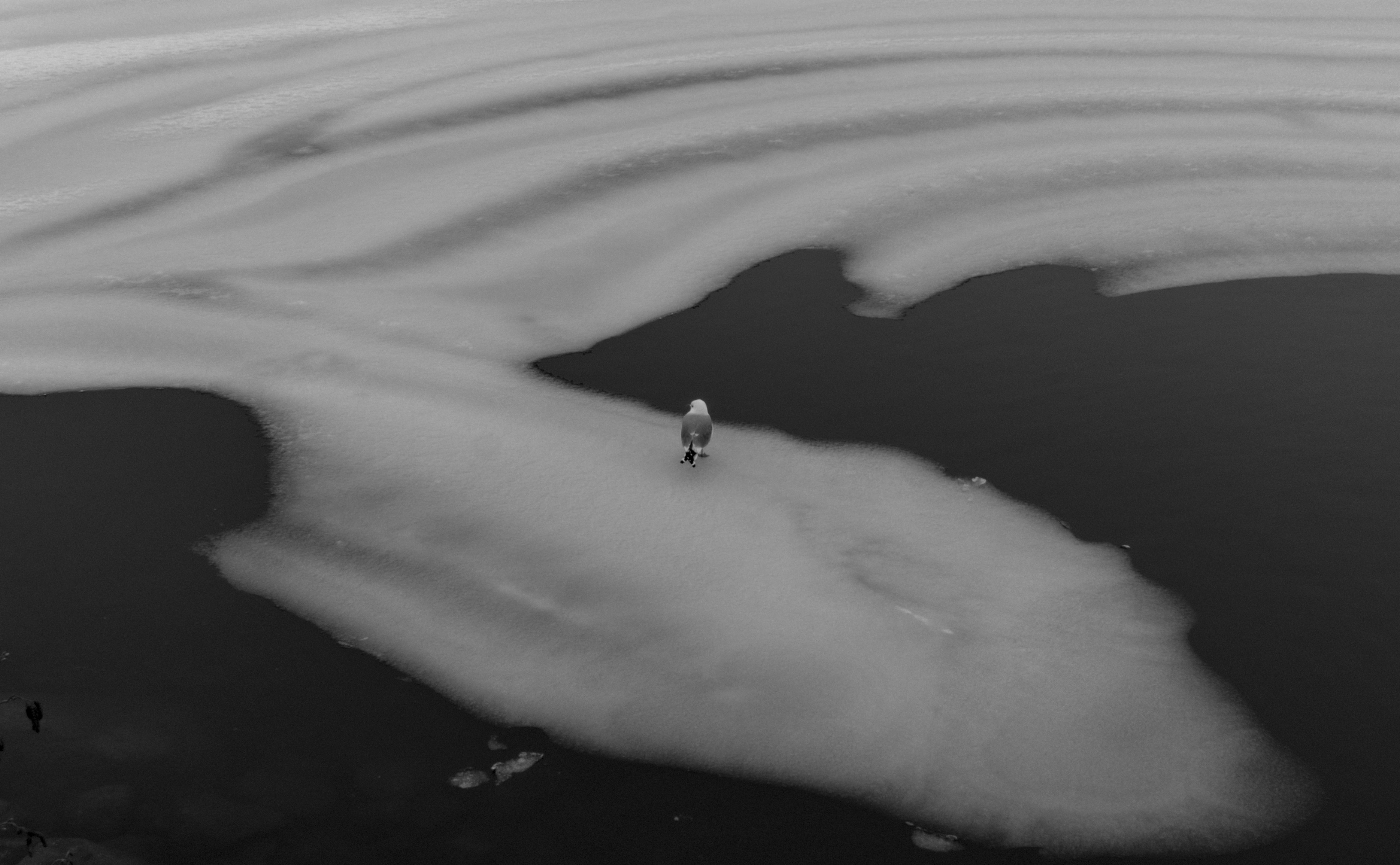 Solitary Footstep on a Pale Ice Ridge Amid Dark Waters