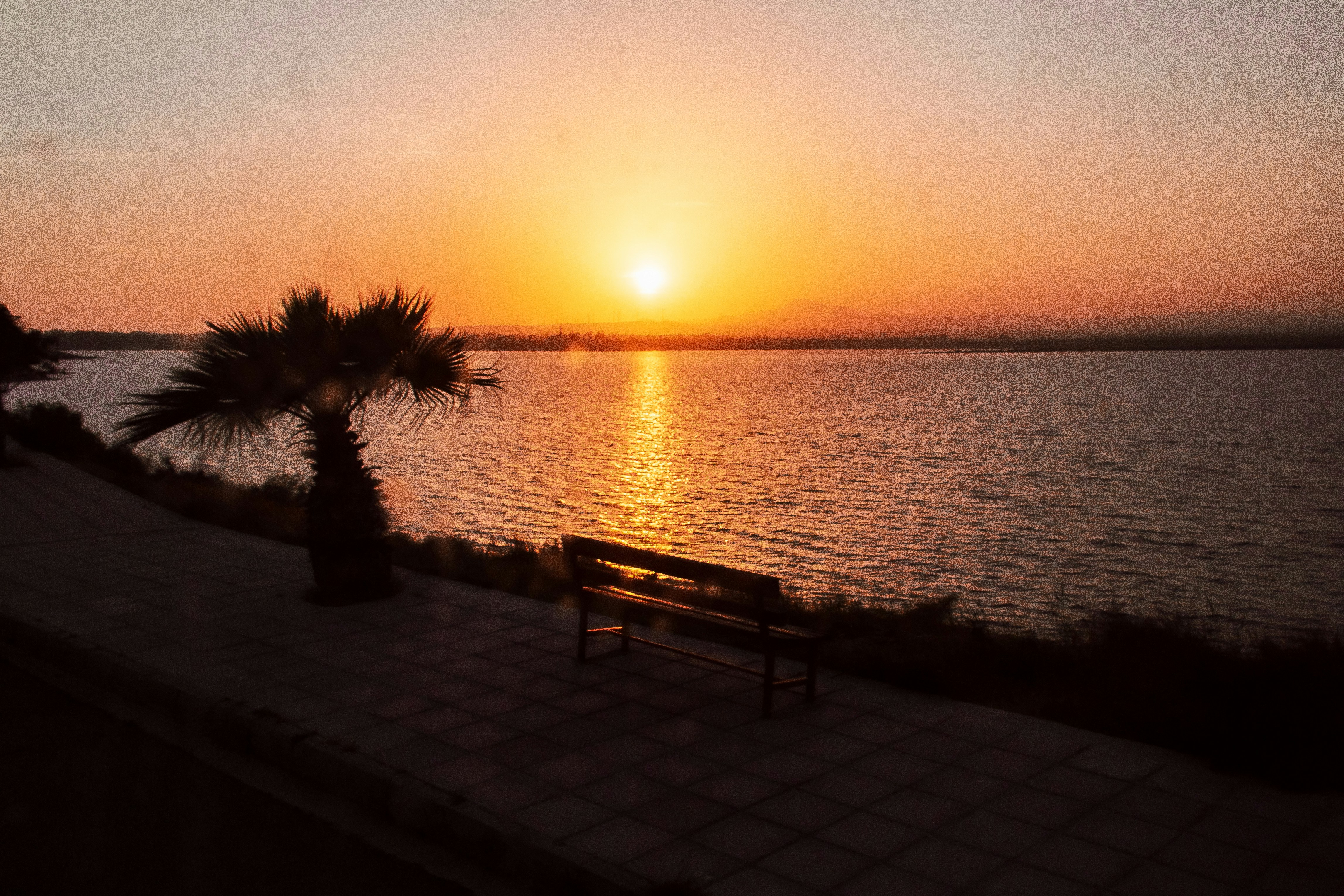 Horizon of Quiet Fire: Palm, Bench, and Sunset over the Bay
