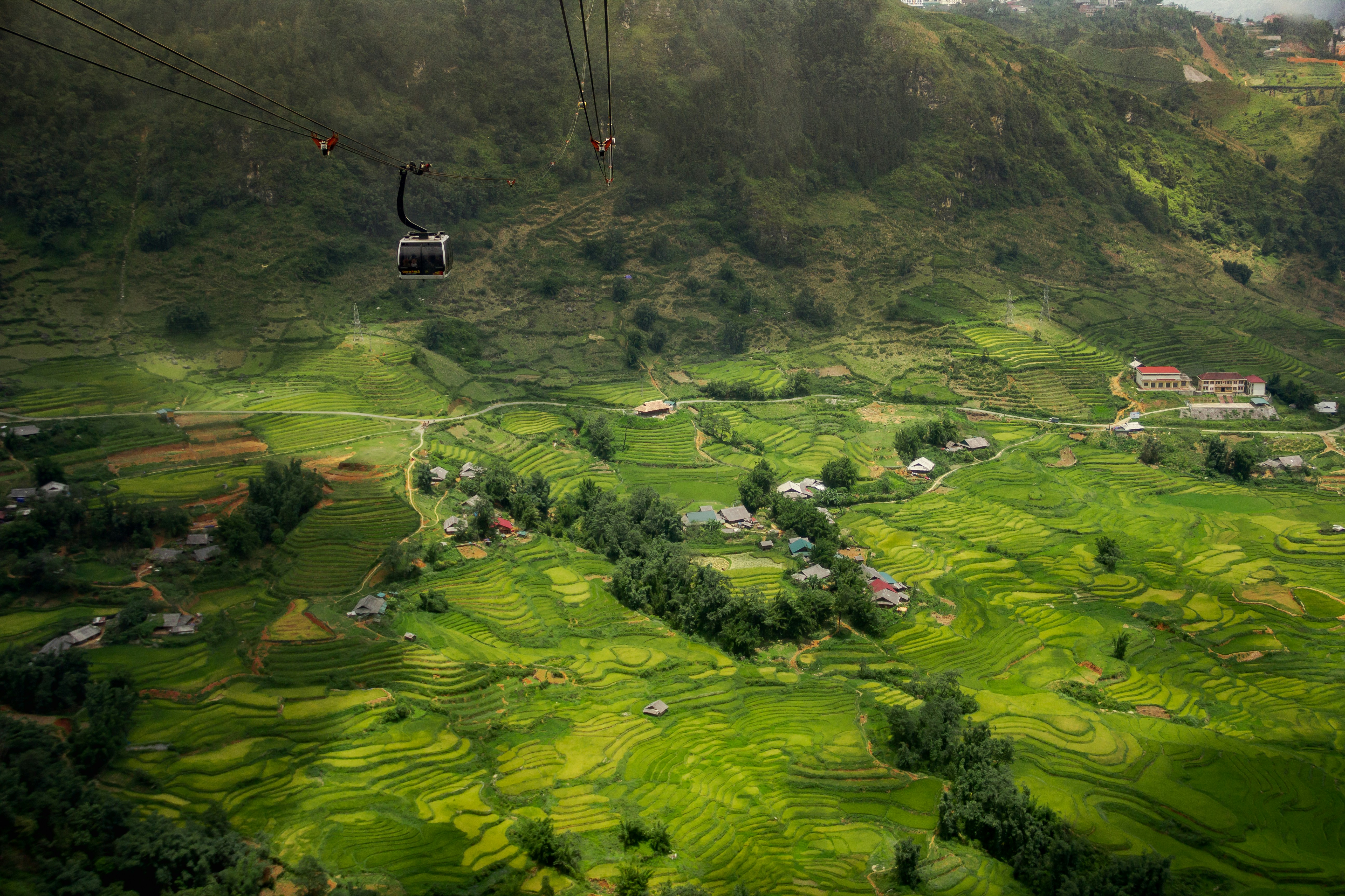 Cable Car Over Emerald Terraces: Aerial Quiet Over a Terraced Valley