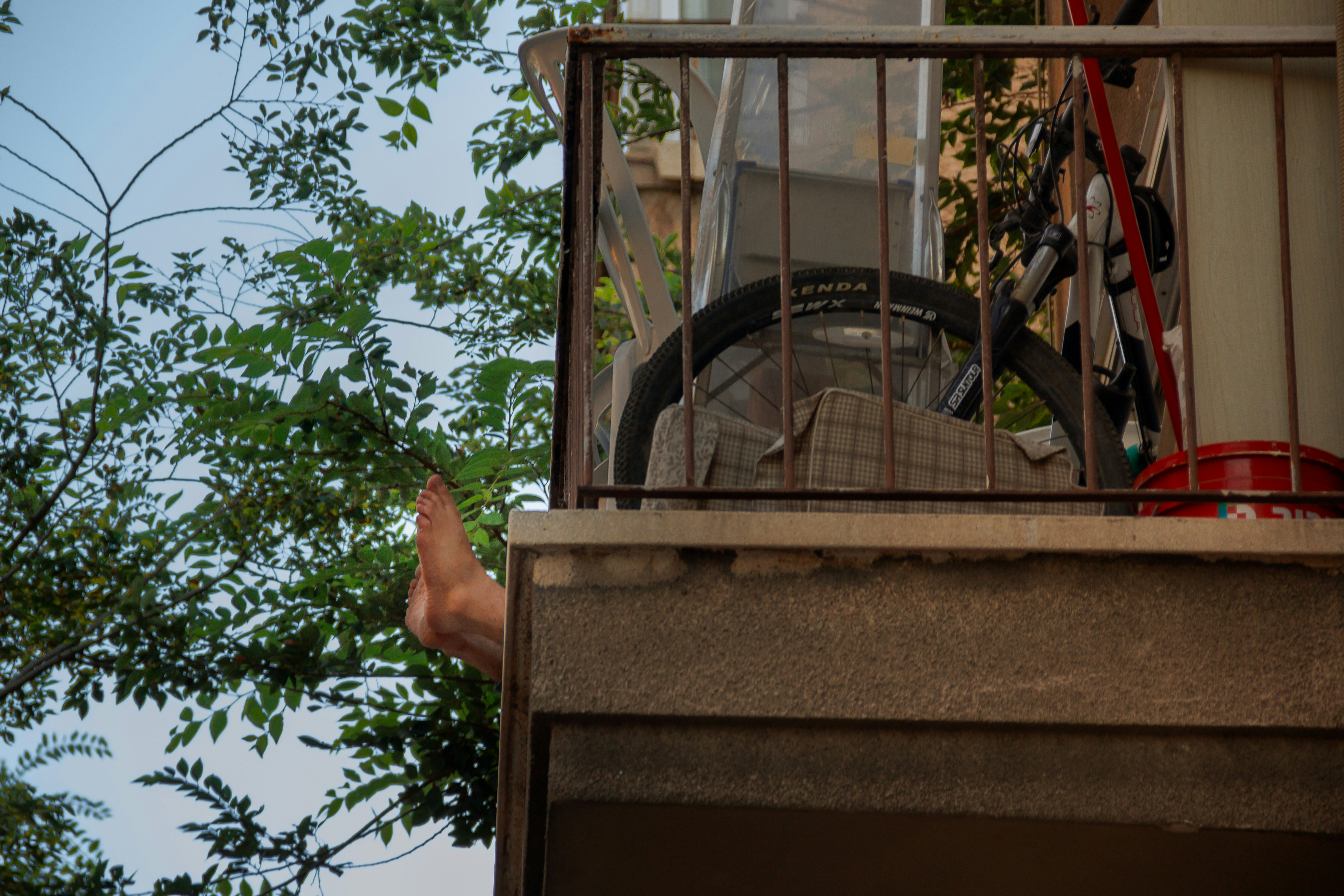 a person standing on a balcony next to a tree