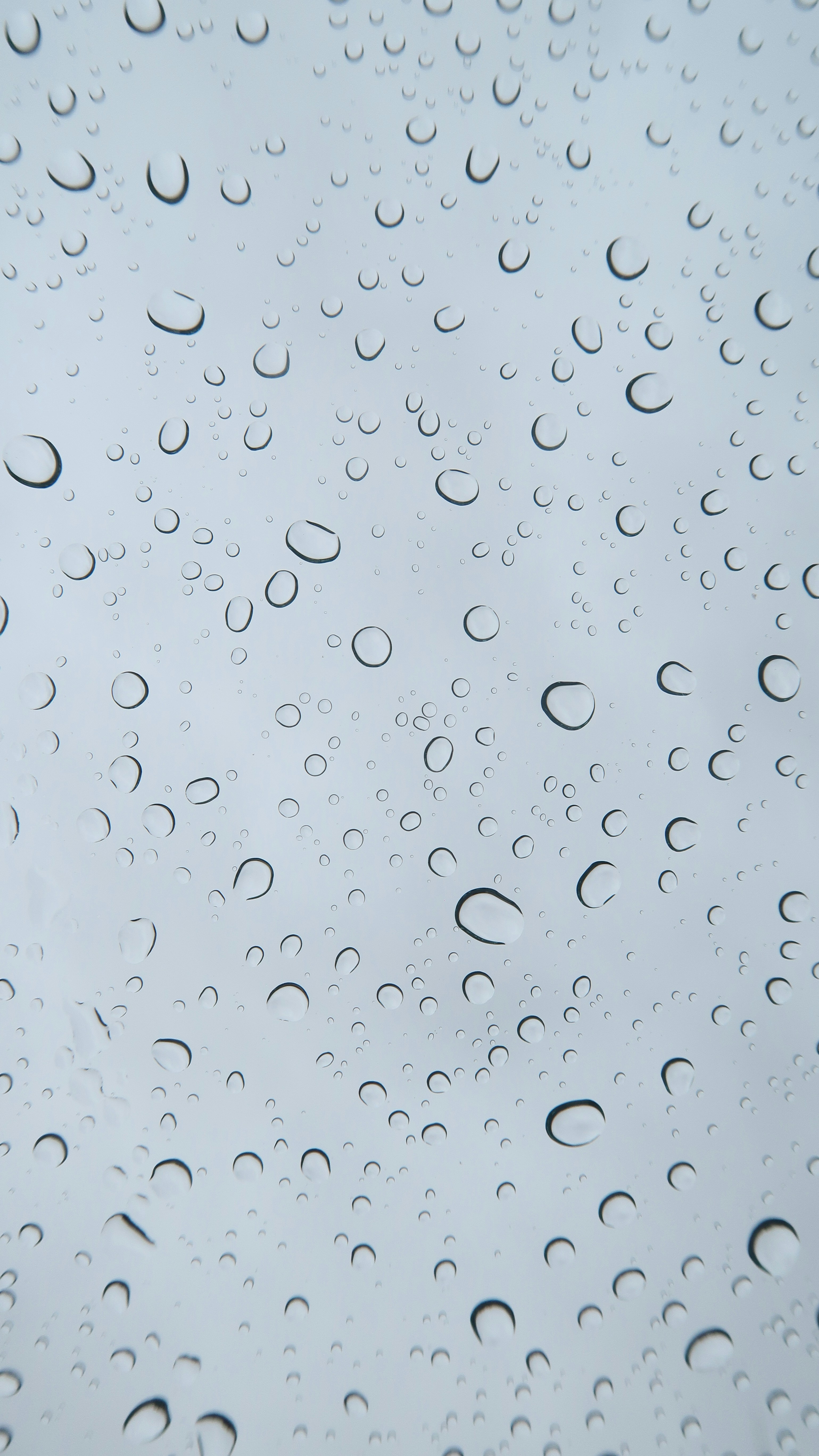 Raindrops clustered on a clear surface, creating a mosaic of reflections and textures.