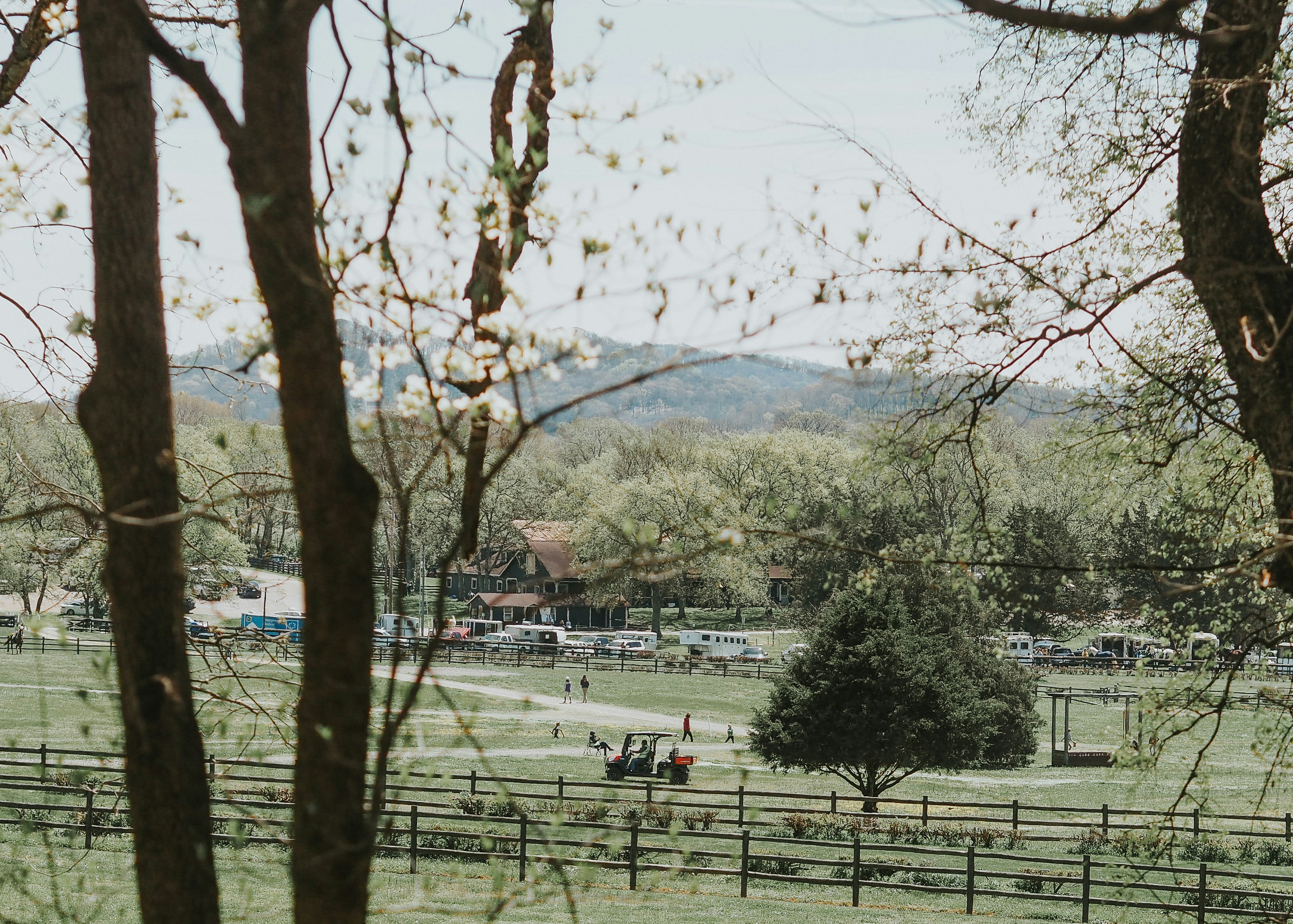 Photo by Barbara Burgess with Olympus PEN-F