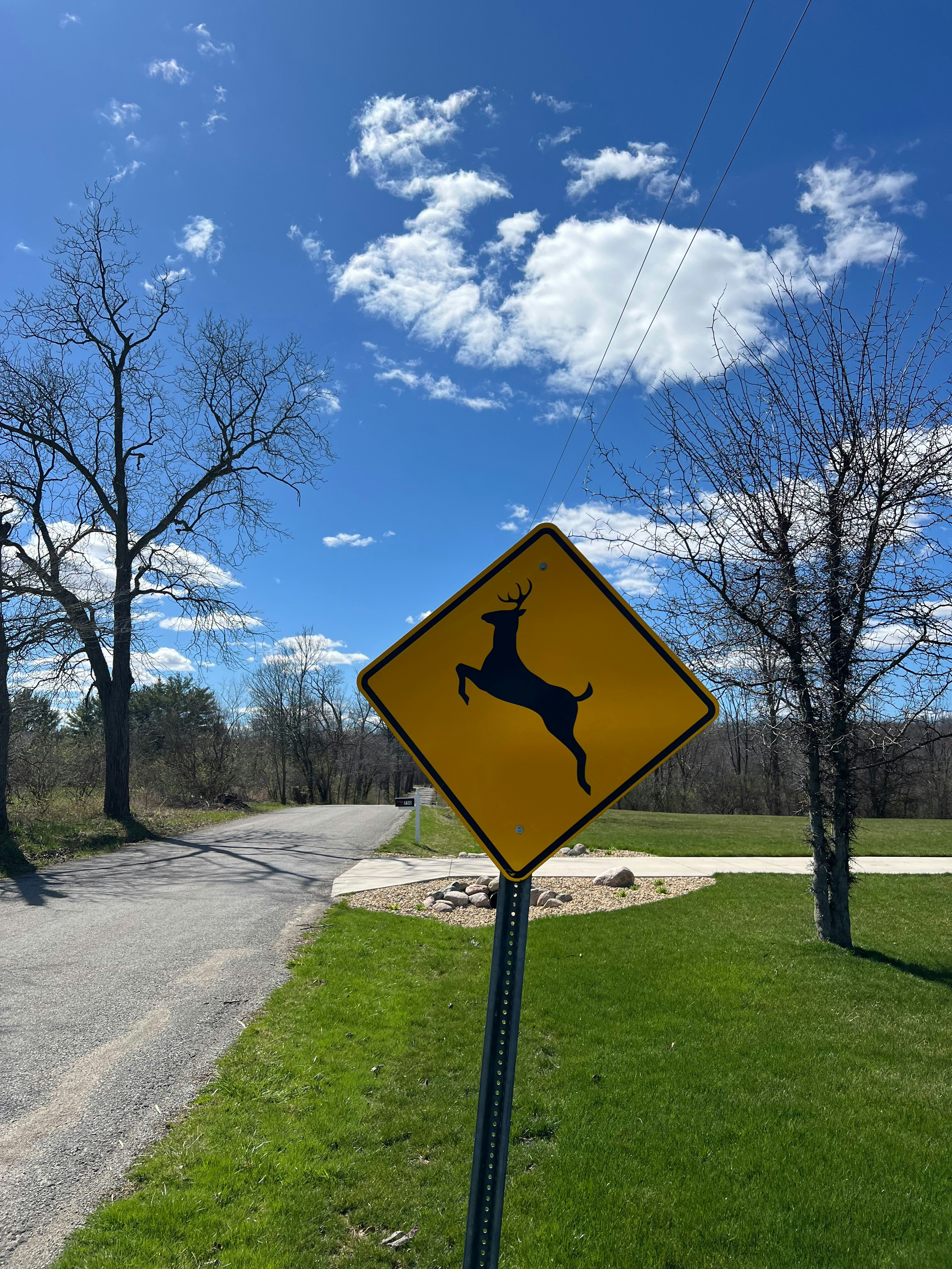 A yellow deer crossing sign sitting on the side of a road photo – Free ...