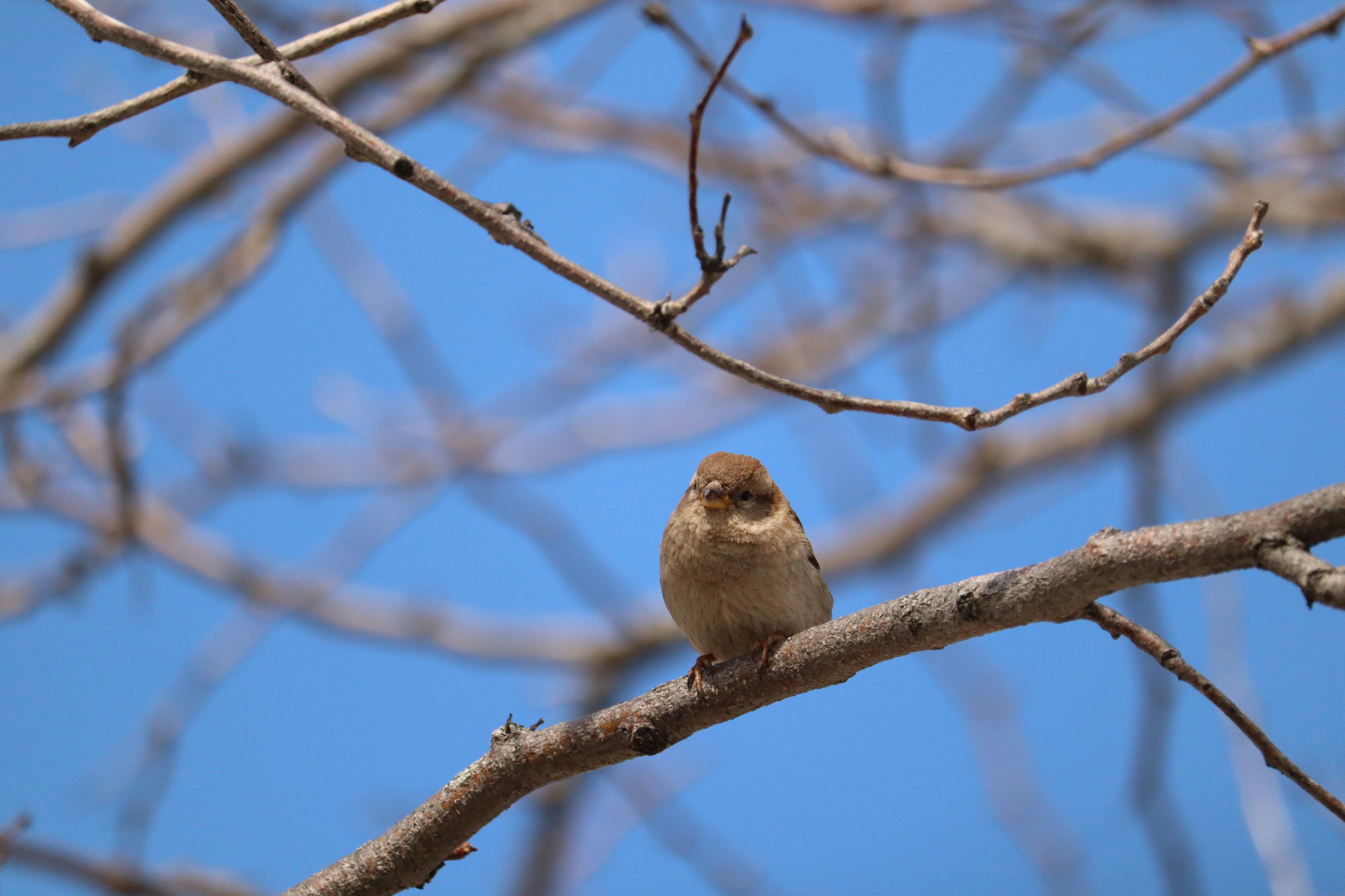 Photo by tntmath with Canon EOS M50