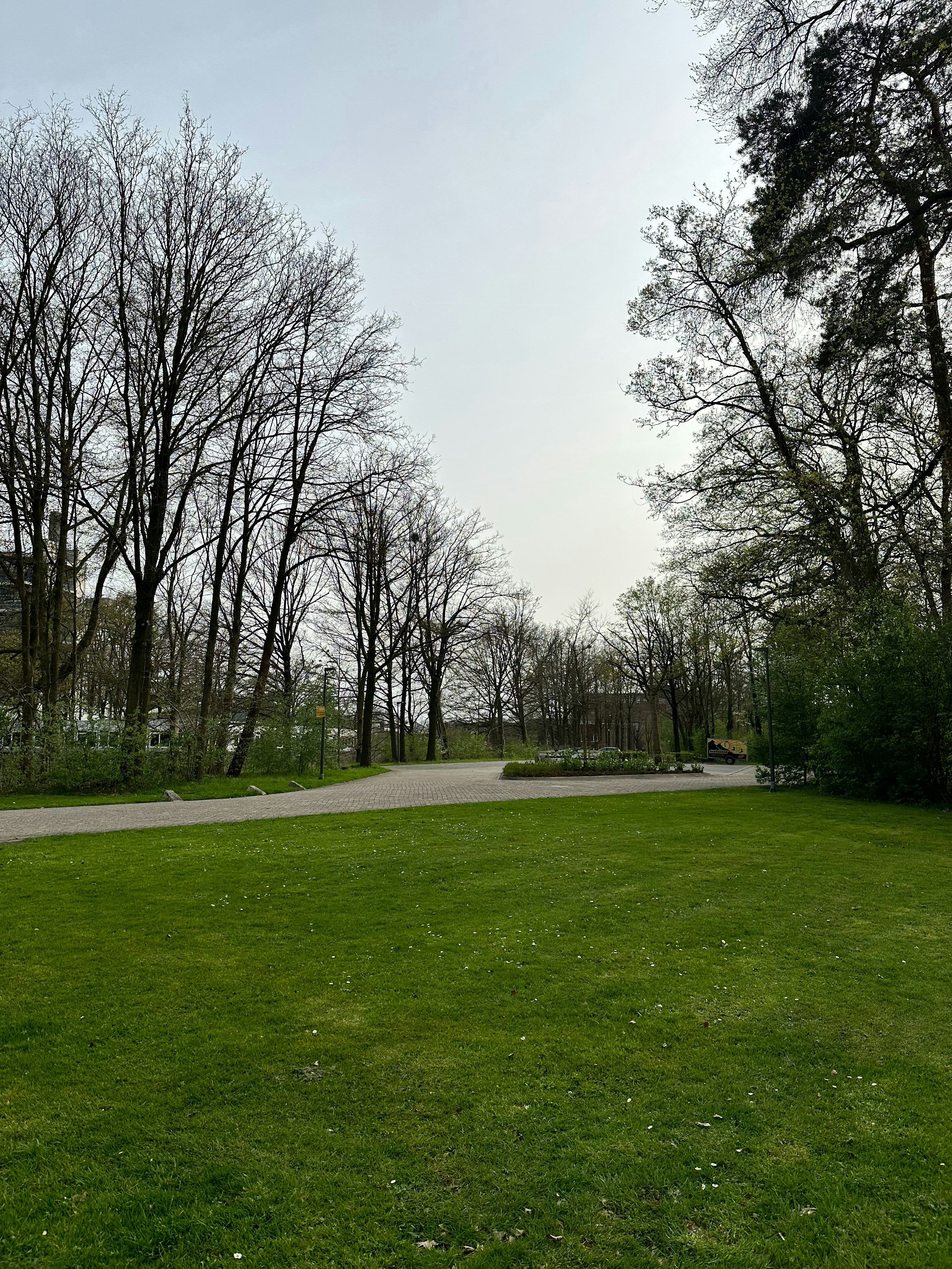 Towards the Quiet Horizon: An Early-Spring Park Scene